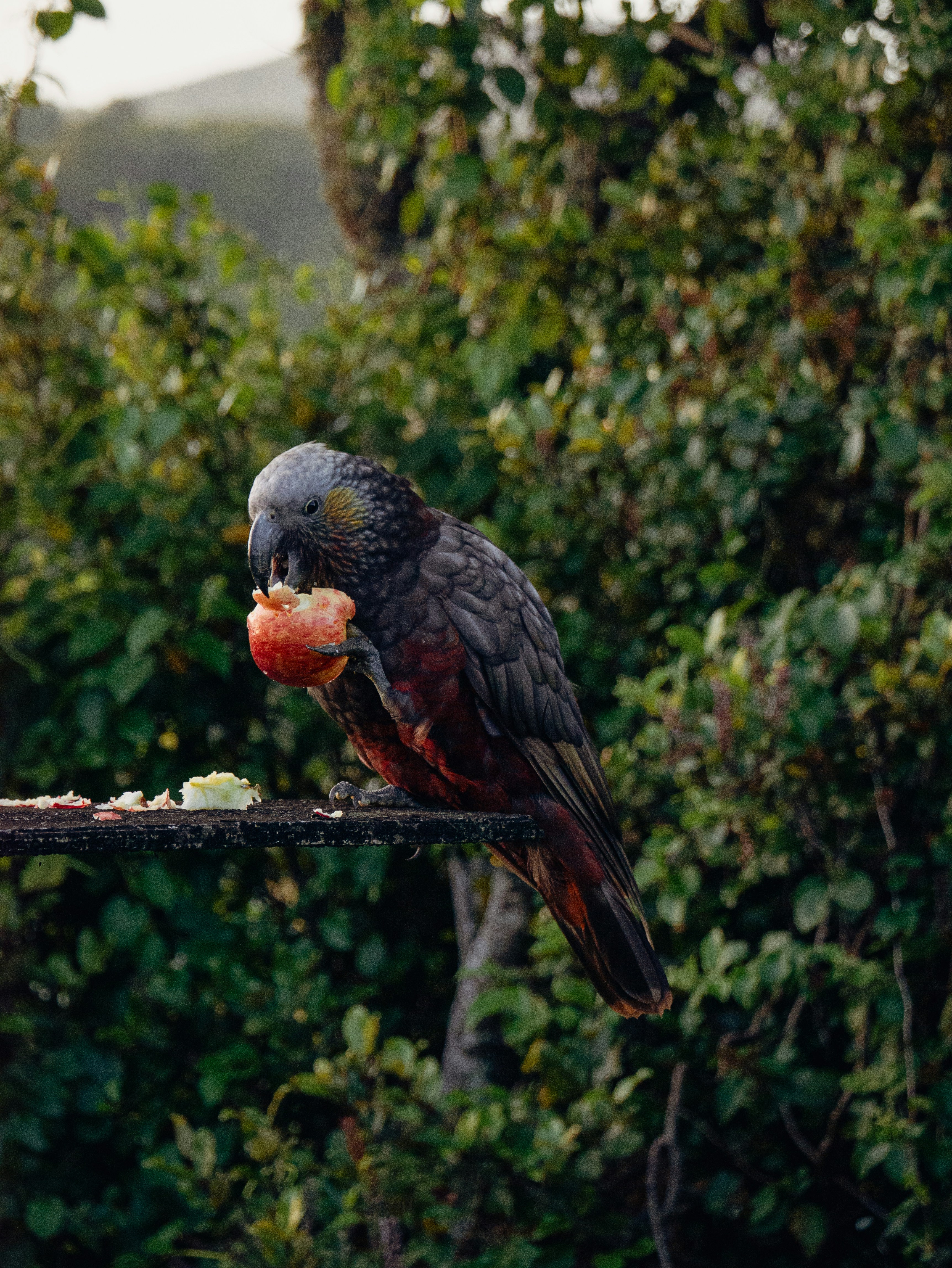 Photo by Katelyn G with Panasonic Lumix G7