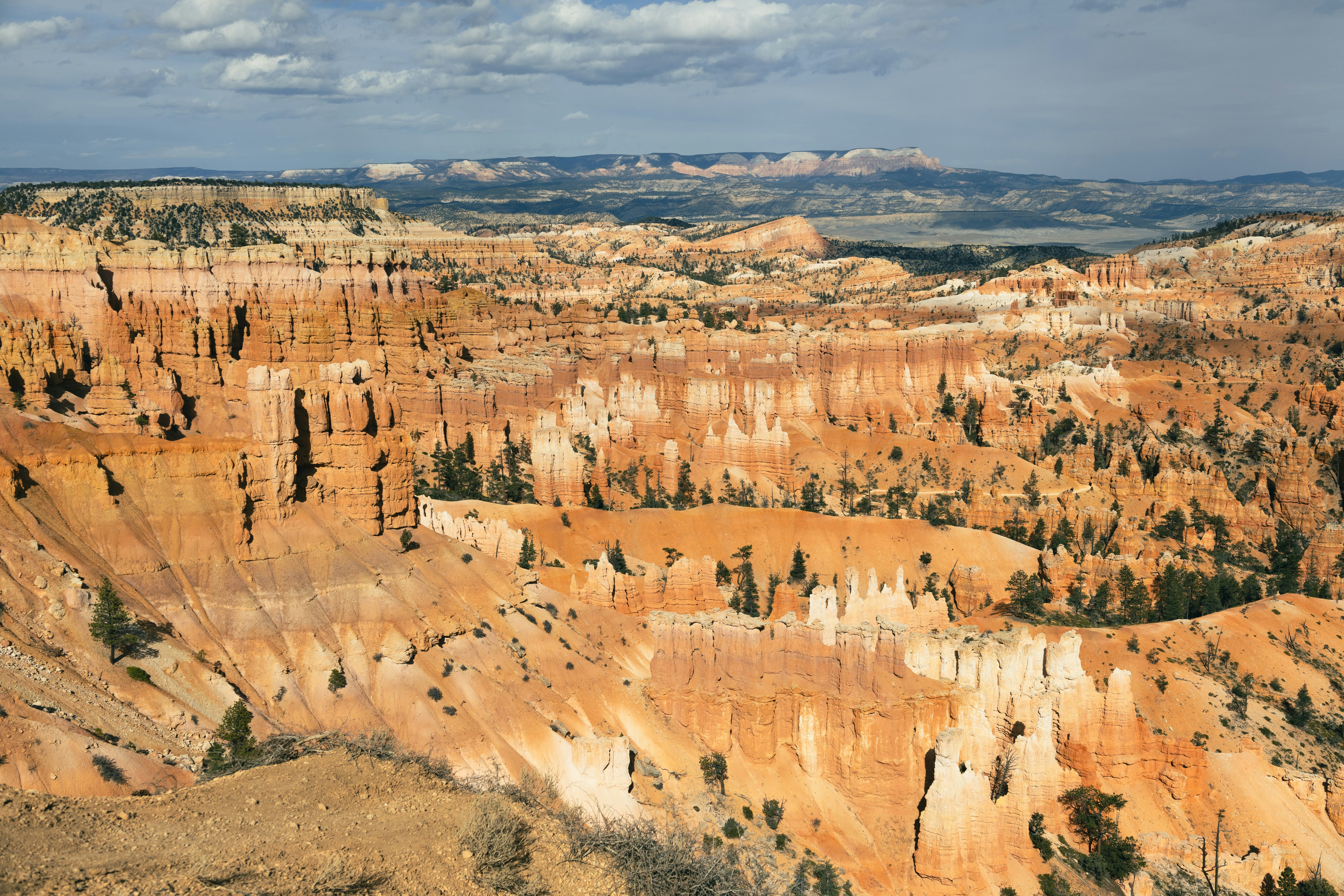 A vast, scenic canyon stretches across the landscape. photo – Free Usa ...