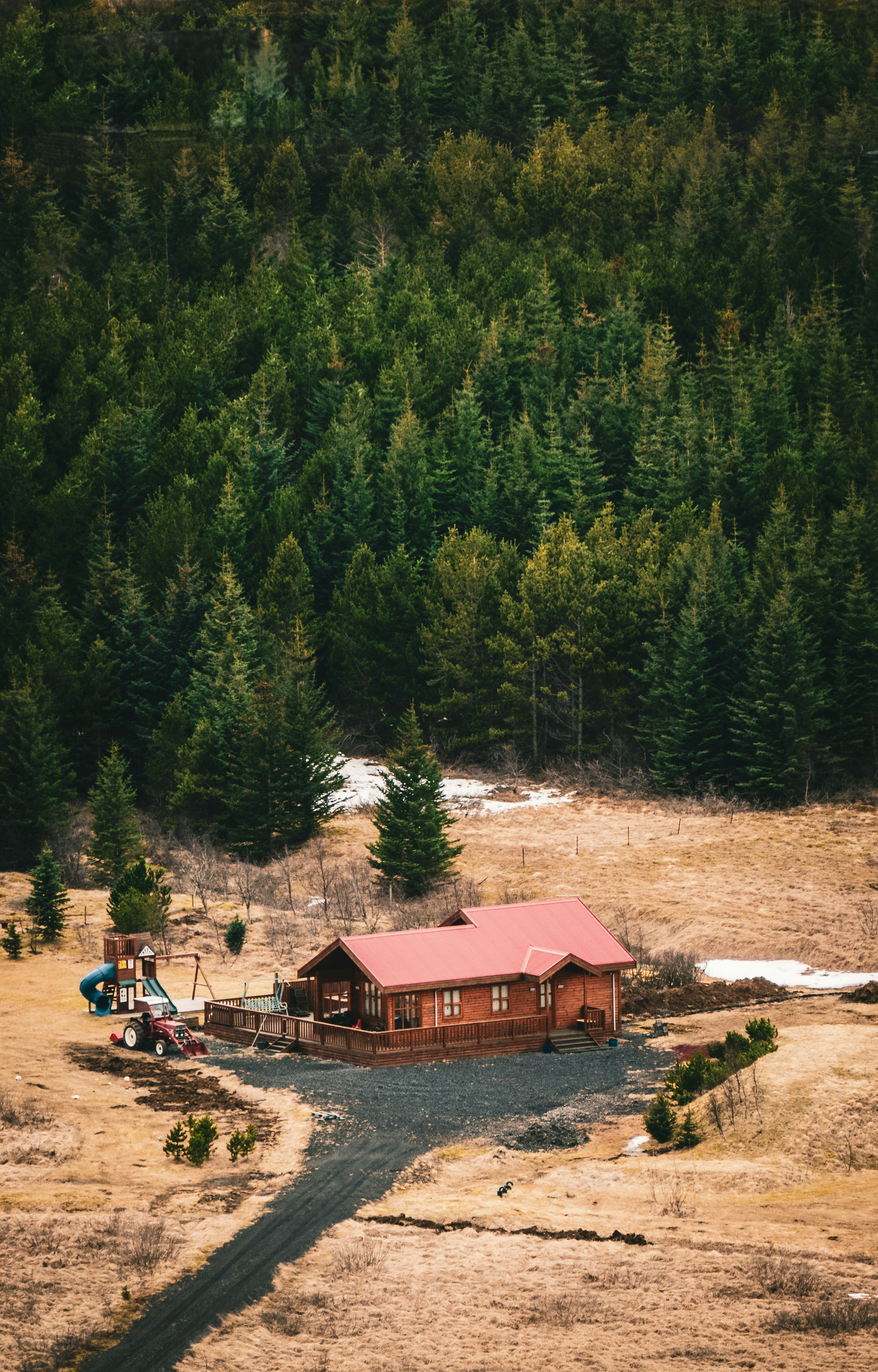 Rustic cabin with a red roof nestled in a clearing surrounded by dense pine forest.