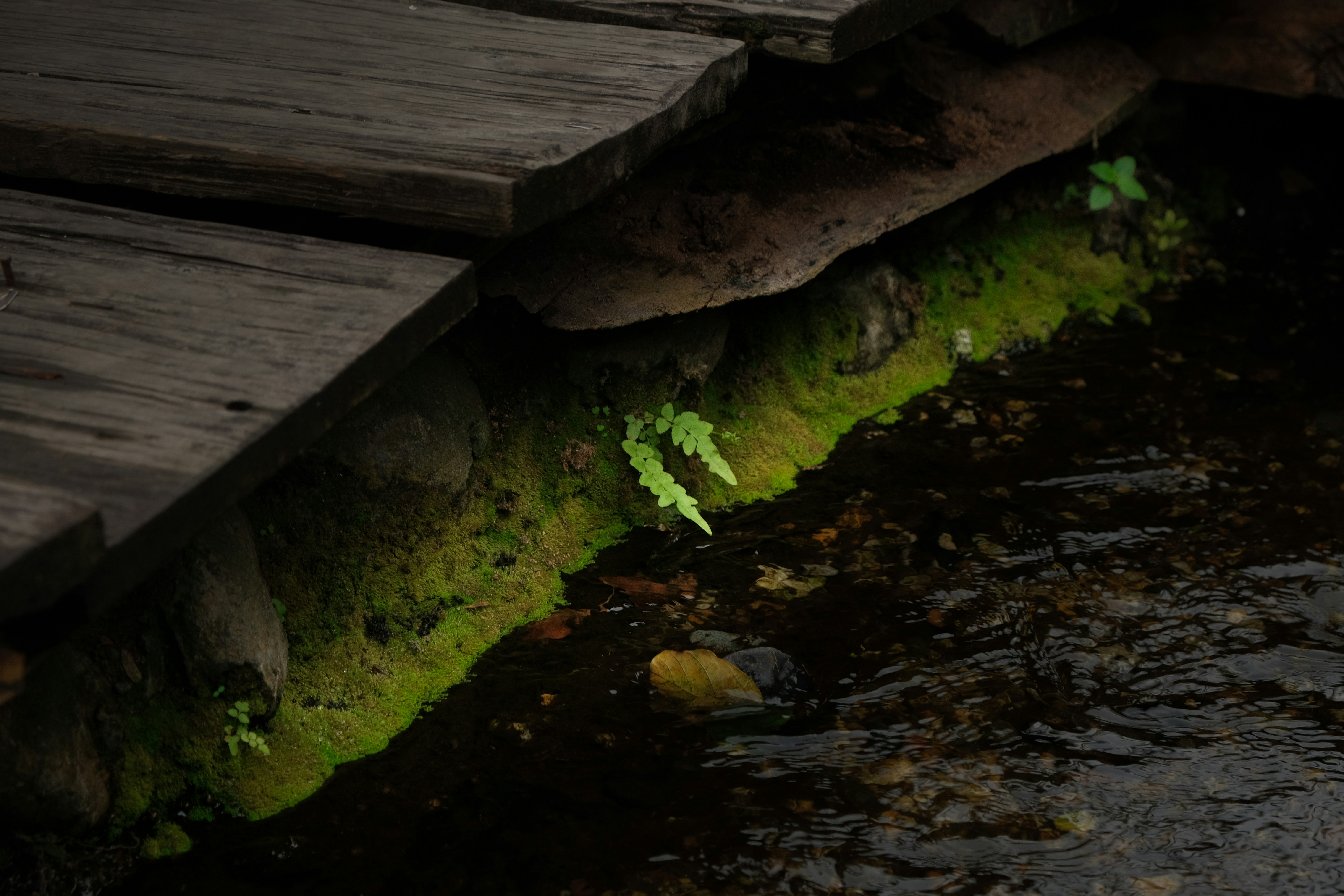 Photo by Felix Ngo with Fujifilm X-T3