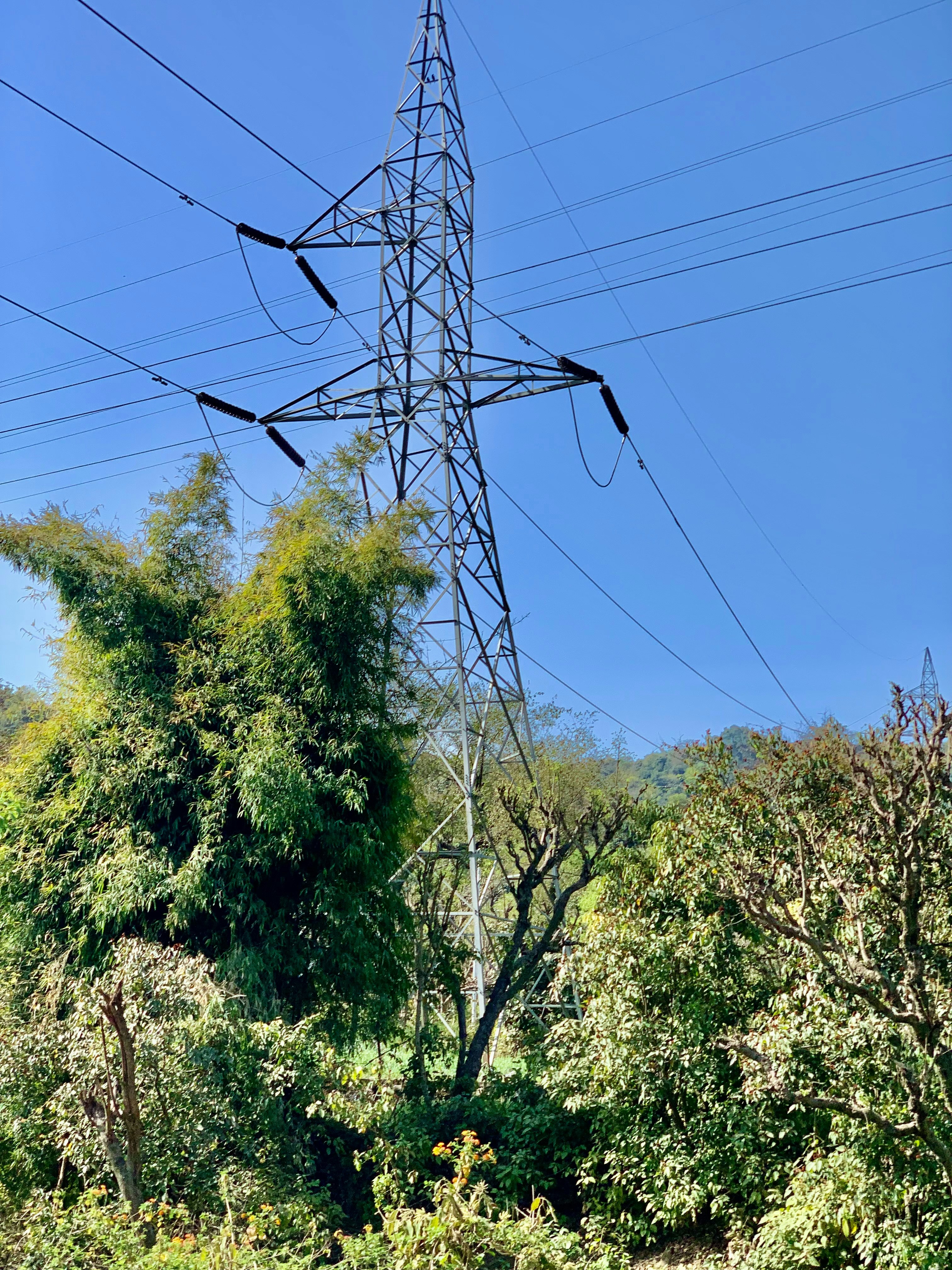 Whispers of Industry Amidst Nature's Canvas
