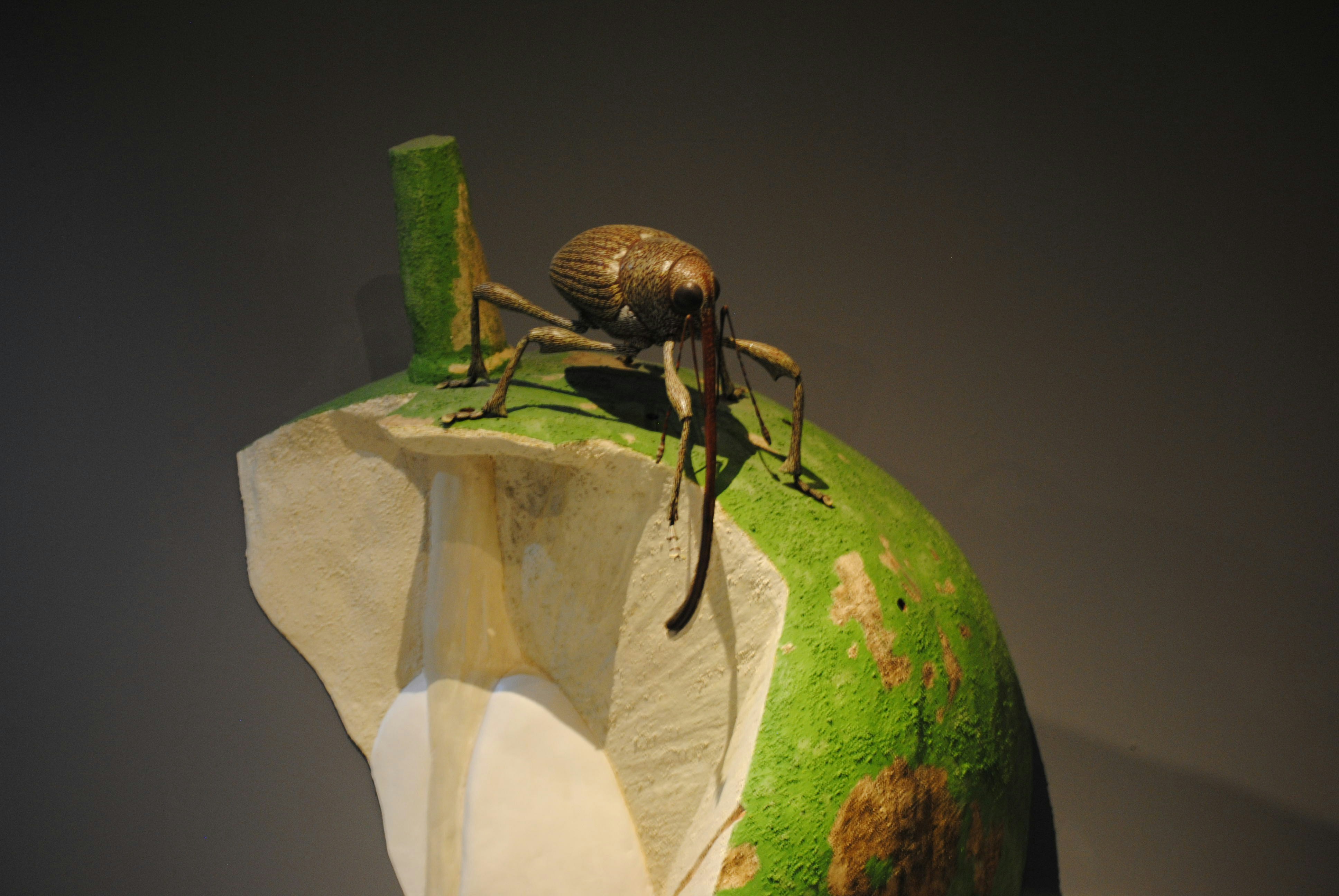Weevil on a Green Crown: A Macro Moment atop a Painted Fruit