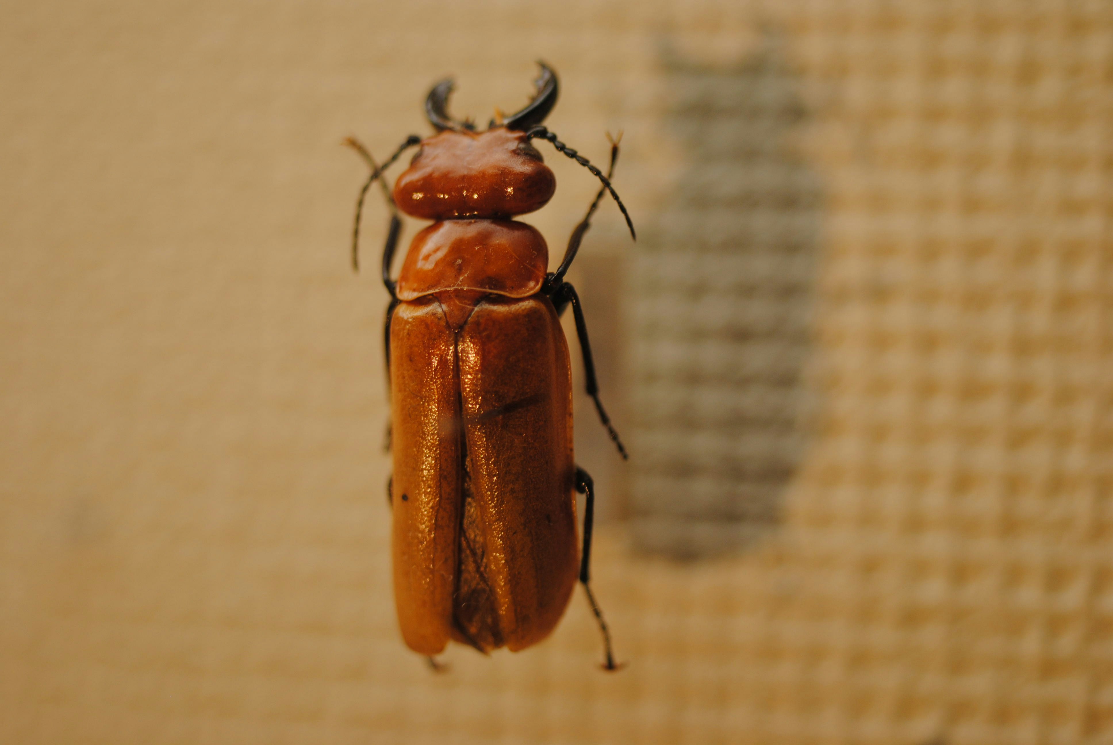 Photo by t Penguin with Nikon D3000