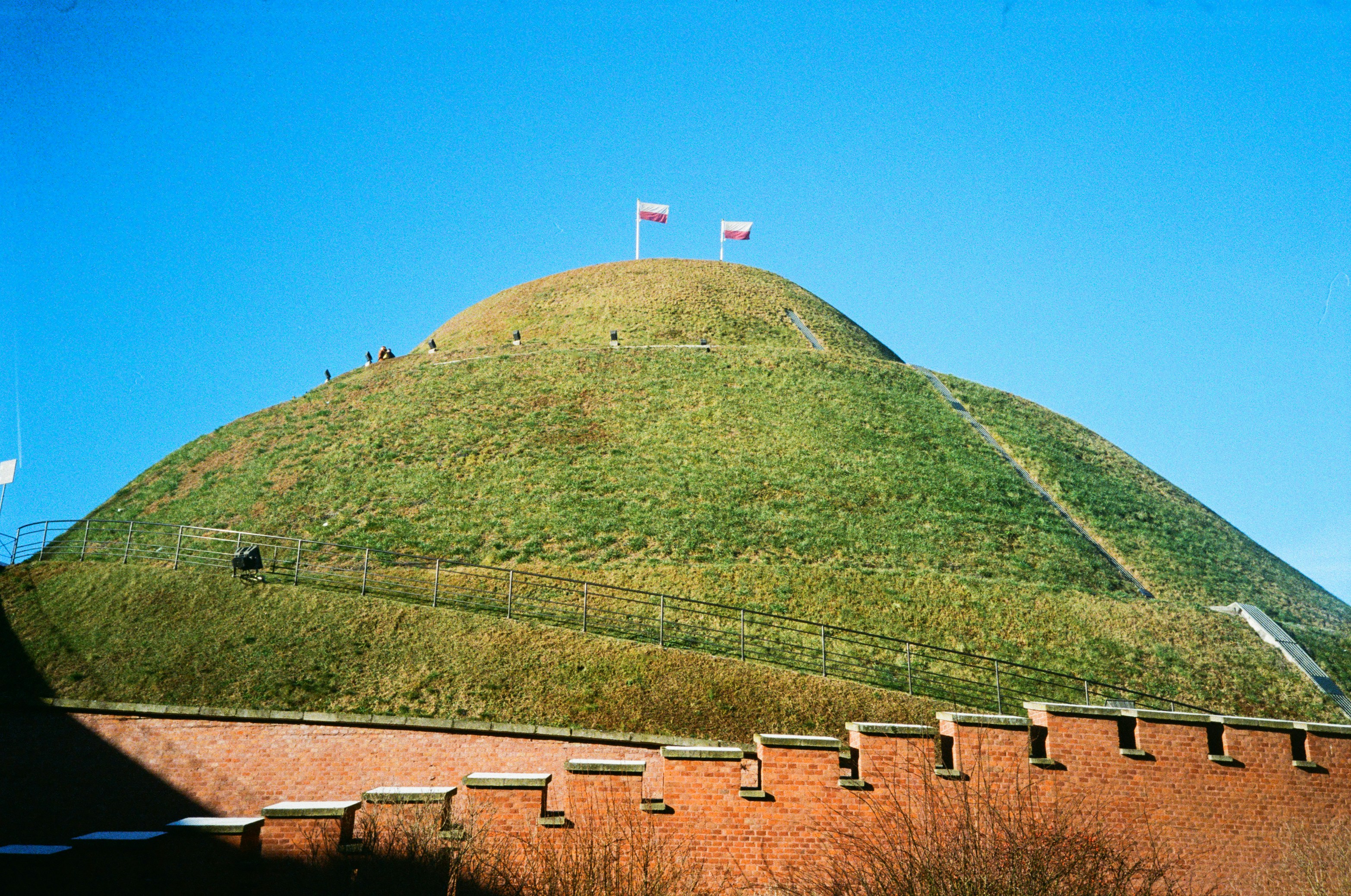 14 Insects That Build Architectural Wonders - Animals Around The Globe