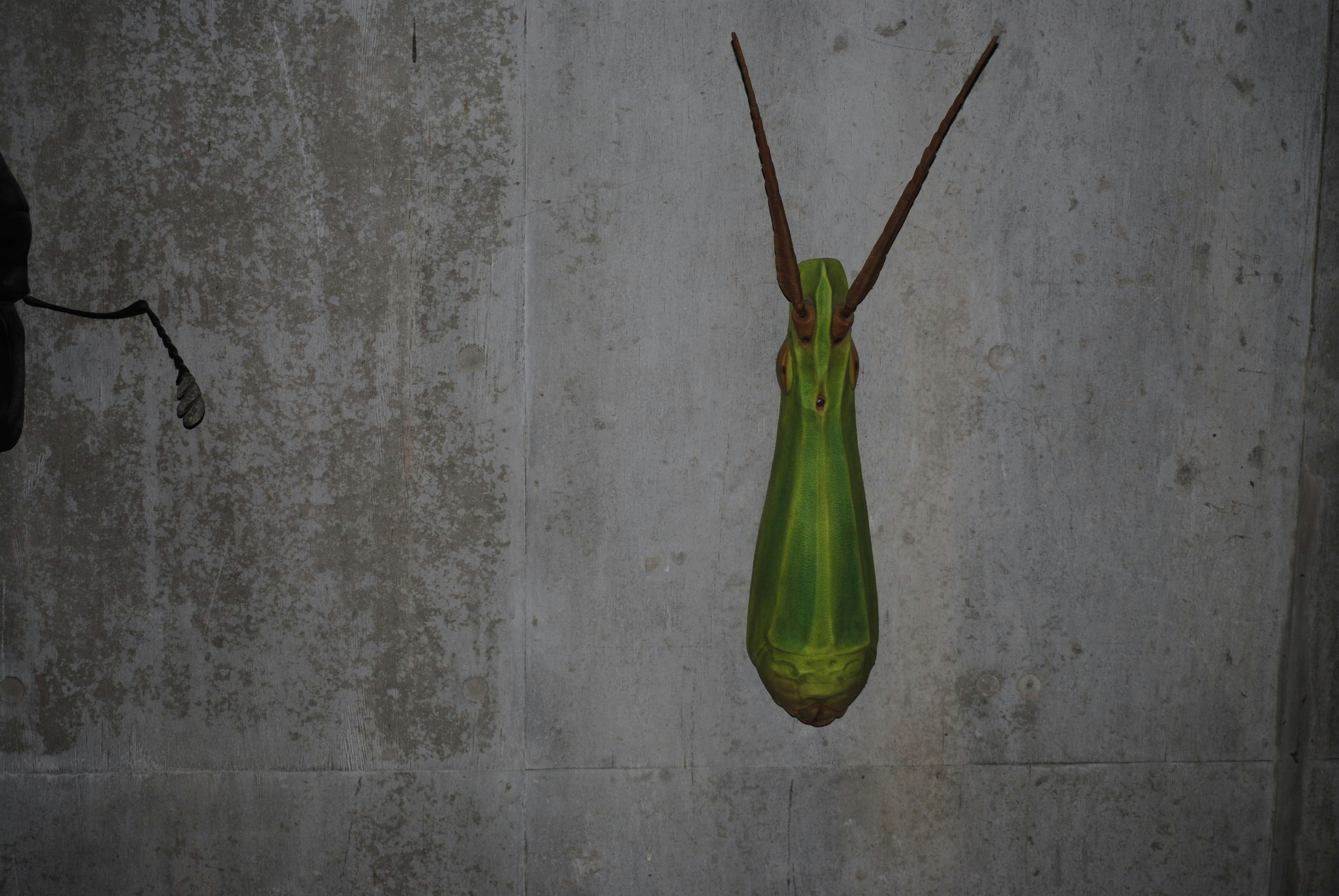 Nature's Camouflage: The Green Enigma