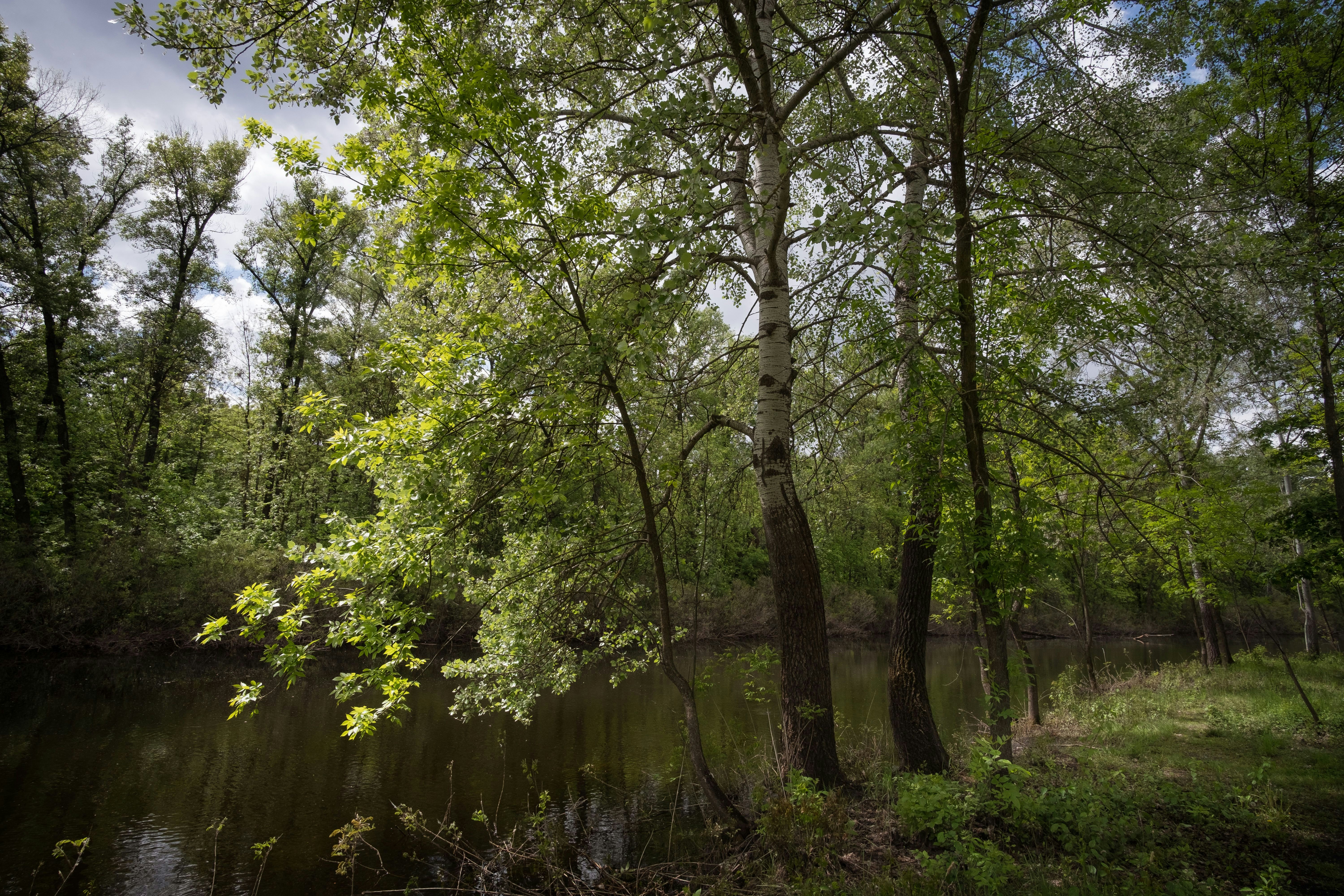 Seven Colors (@sevencolors) | Unsplash 사진 커뮤니티