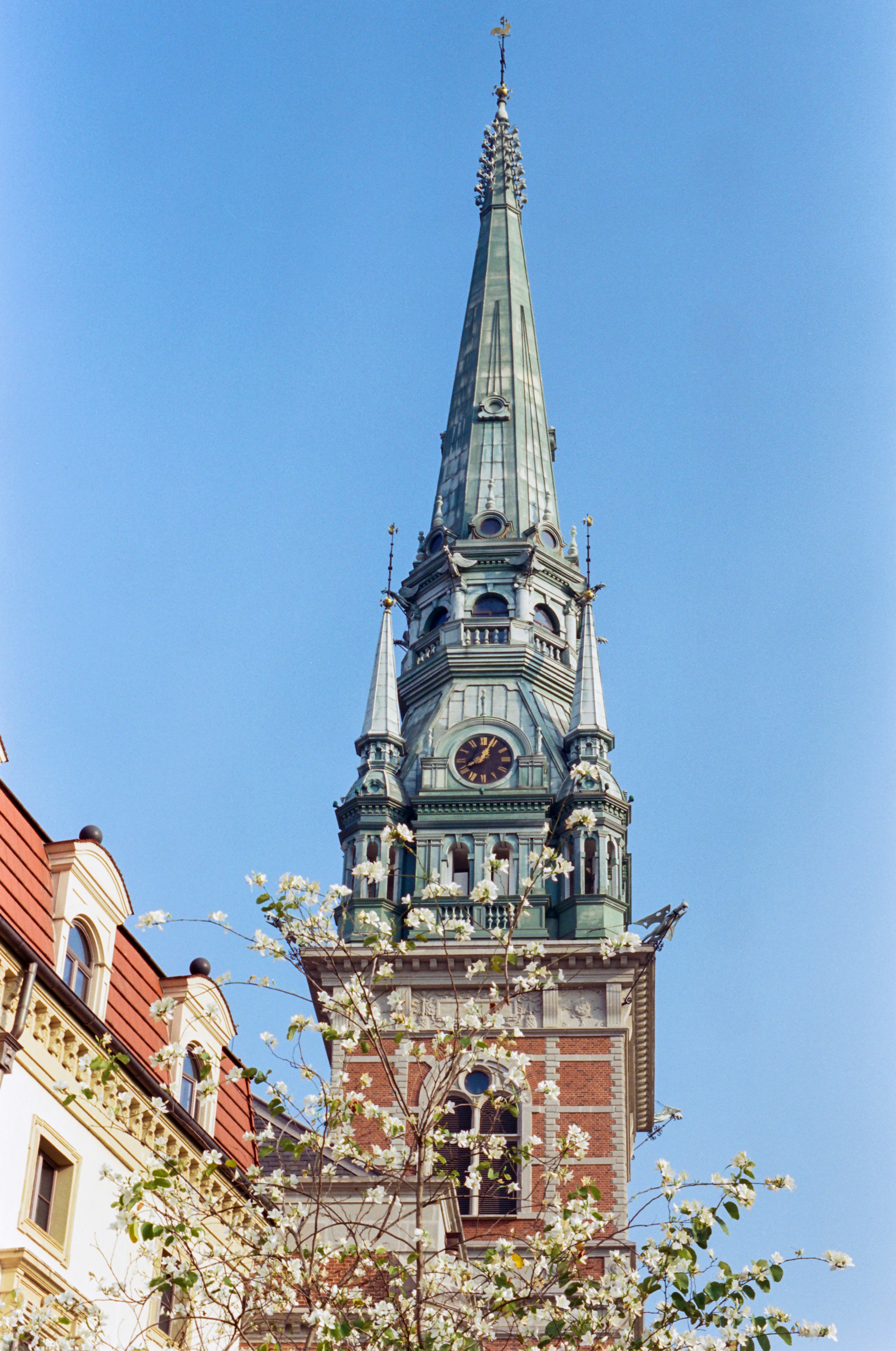 Zhen Yao (@zhenyao_photo) | Unsplash Photo Community