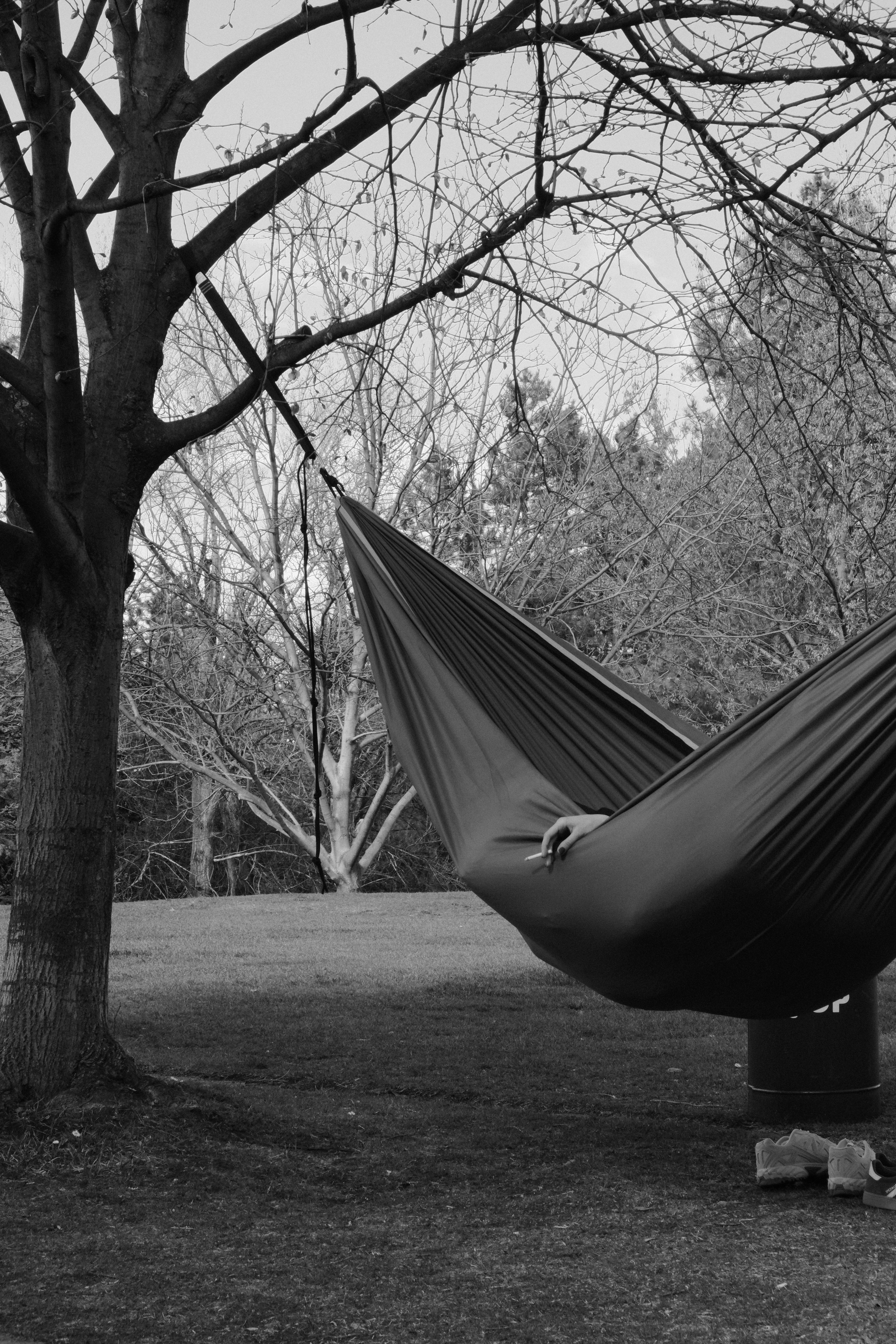 Hammock hanging between trees in a tranquil park setting during early spring.