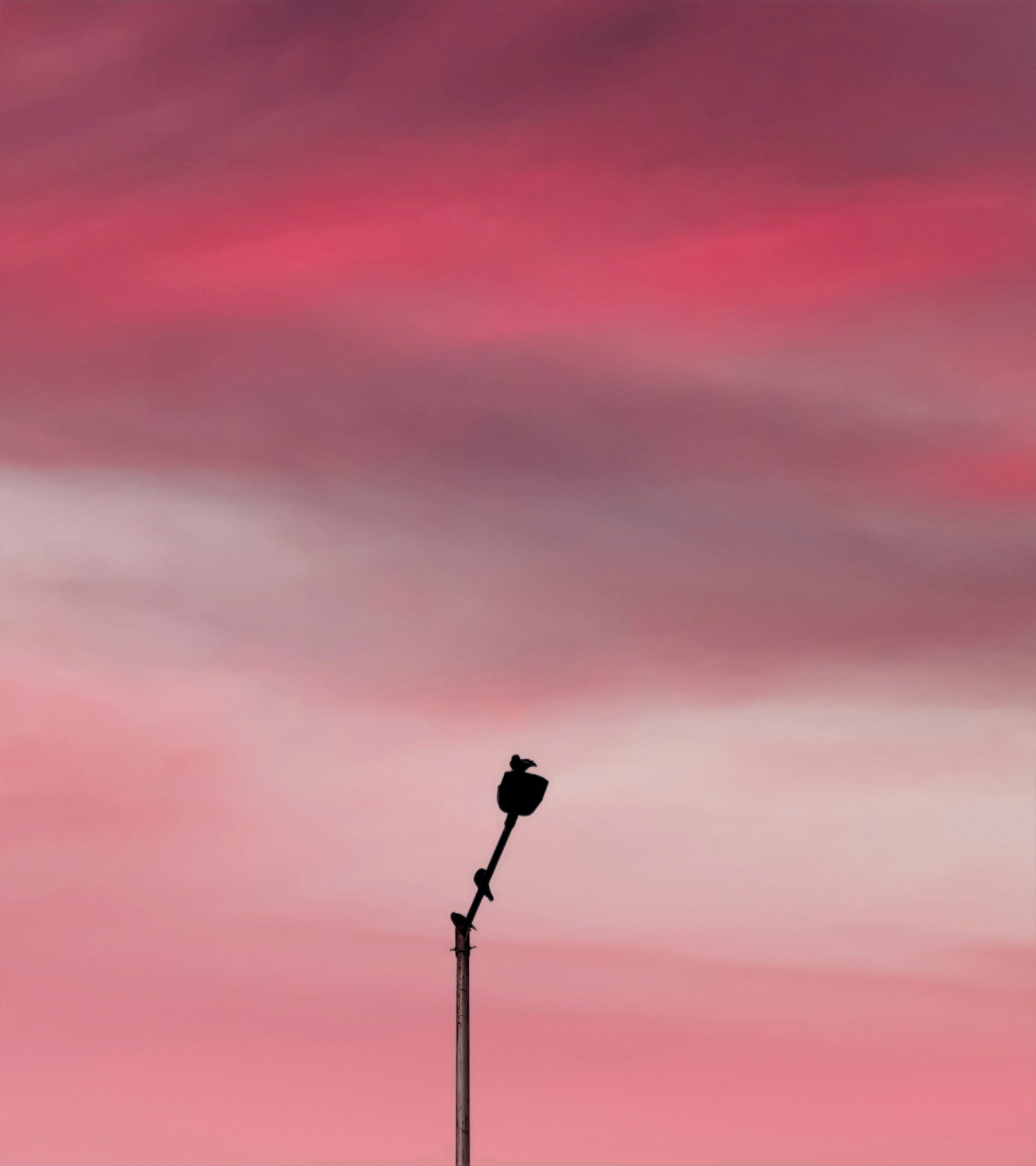 A street lamp silhouetted against a pink sky.