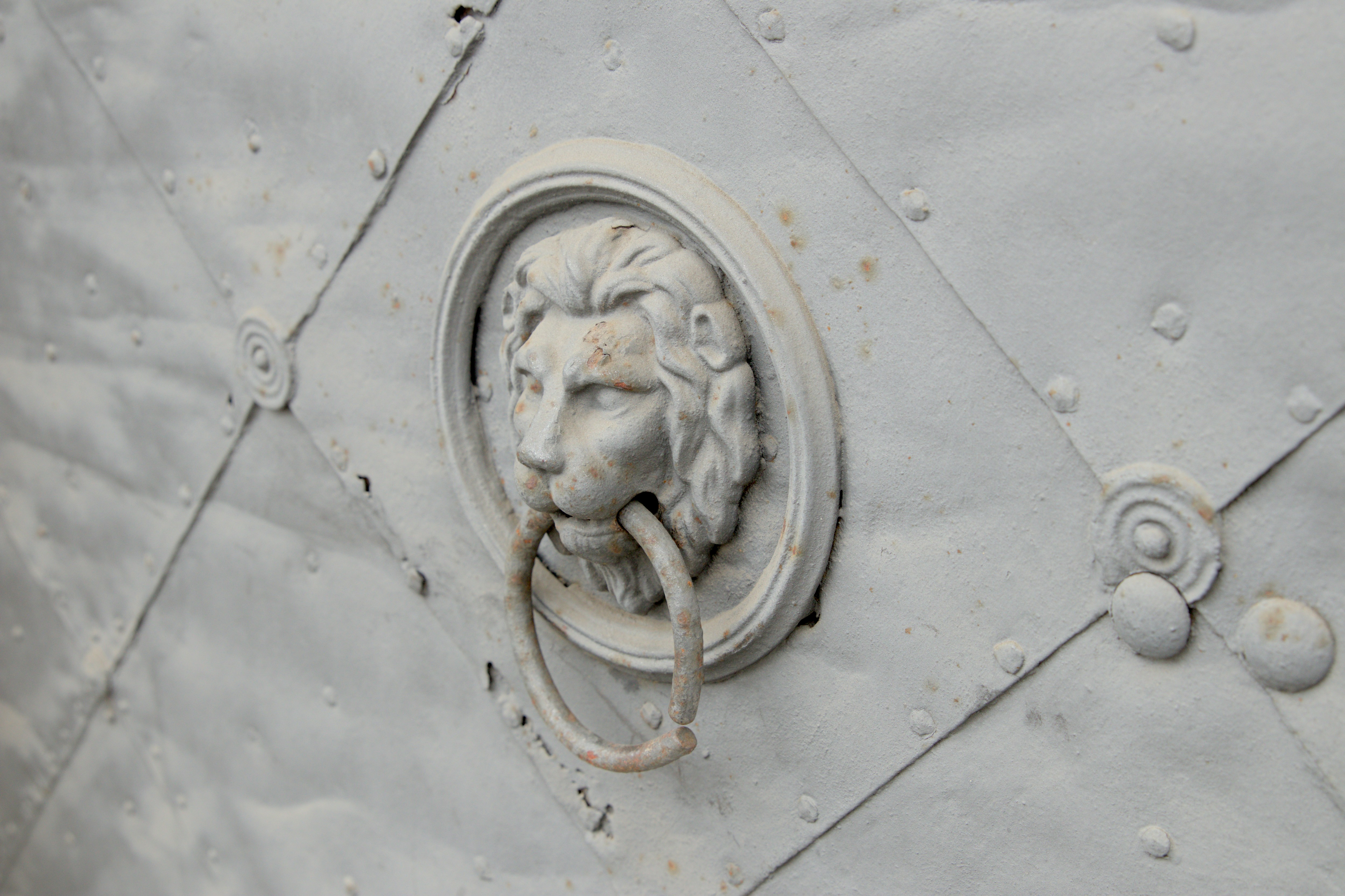 A lion-headed door knocker.