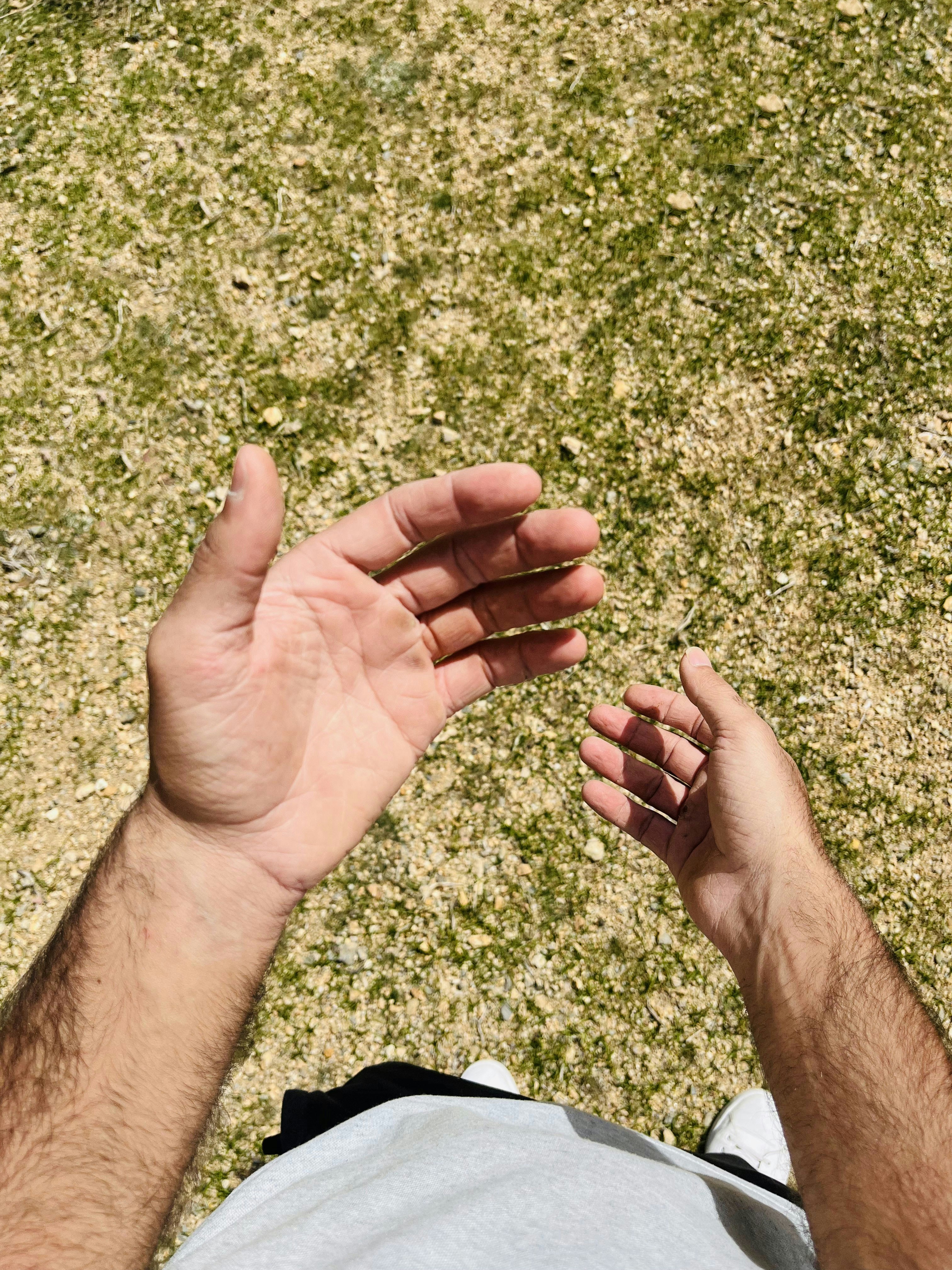 Hands are open, palms up against a grassy background. photo – Free Man ...