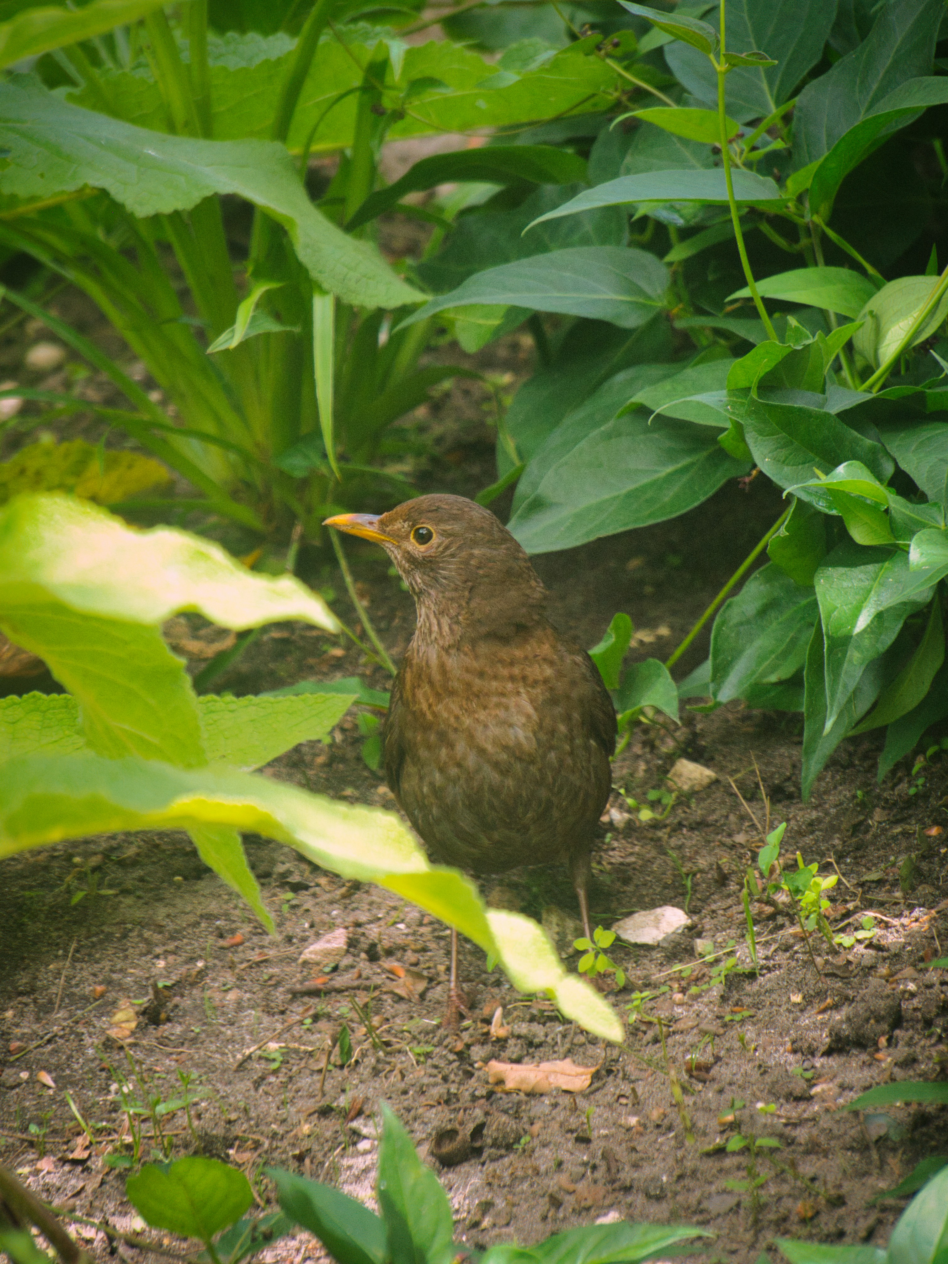 Photo by Christian Krebel with Olympus OM-D E-M10 Mark III