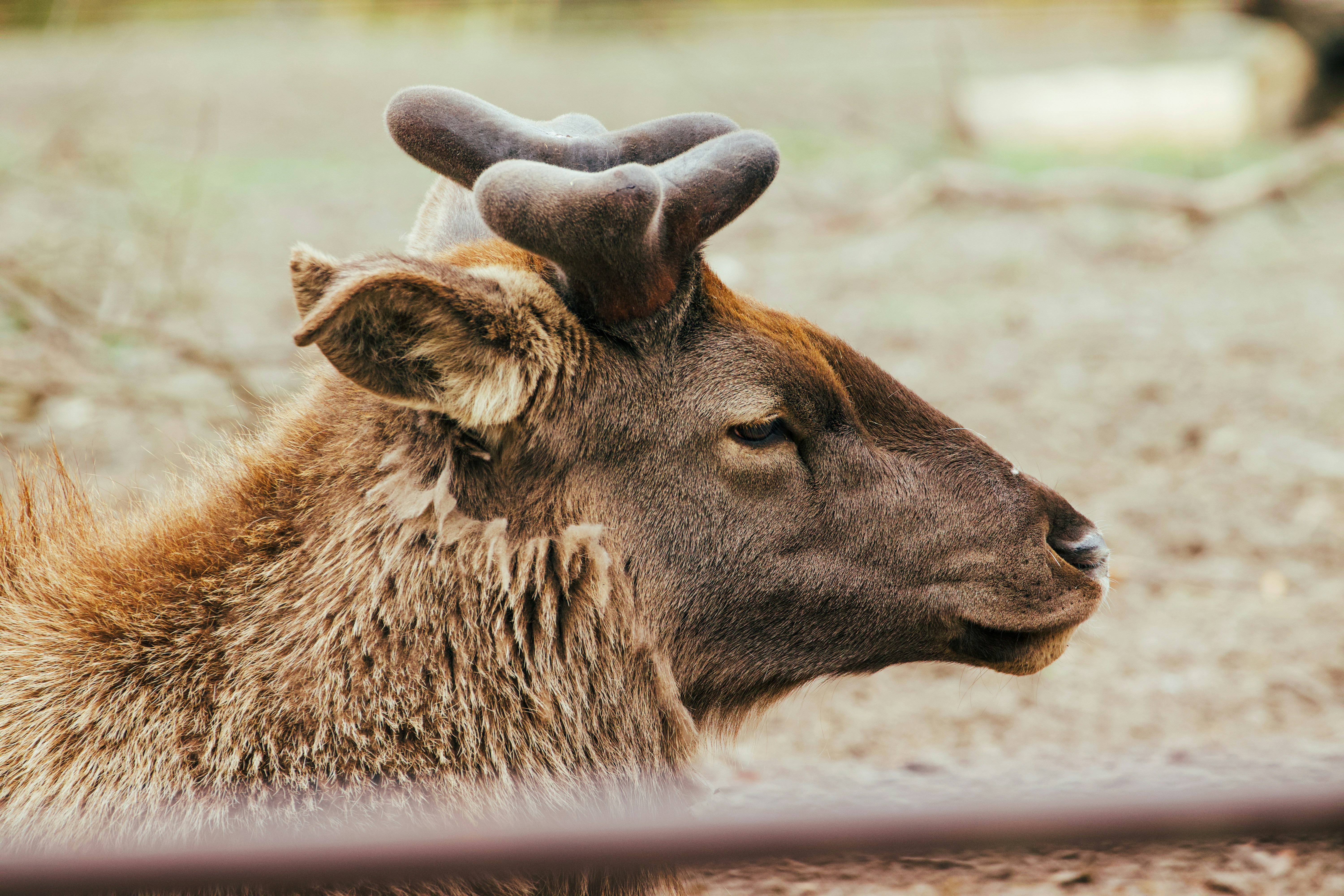 Photo by Jakub Neskora with Canon EOS 250D