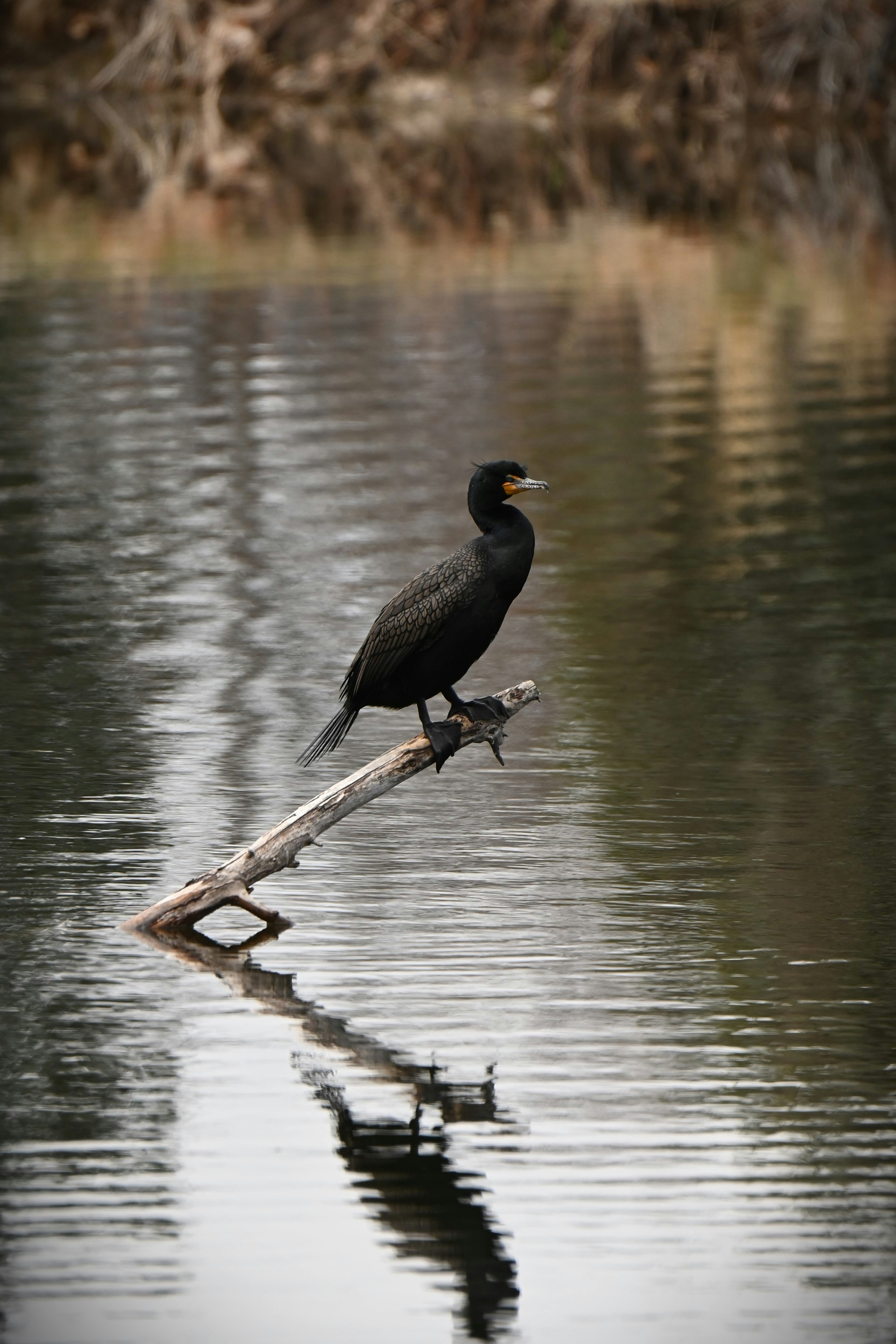 Photo by Gennady Zakharin with Nikon Z6