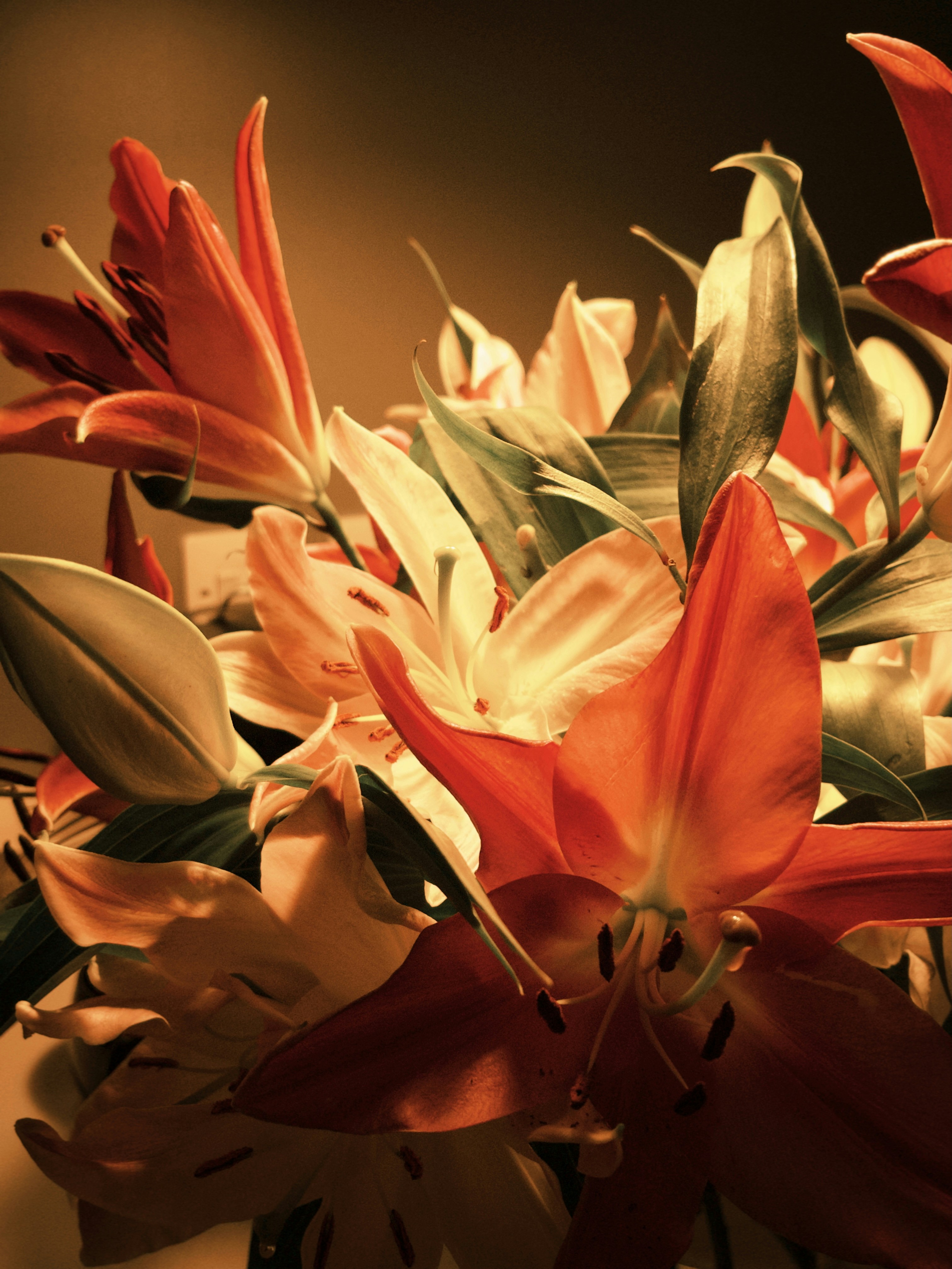 A vibrant arrangement of orange and white lilies surrounded by lush green leaves, illuminated by soft lighting.