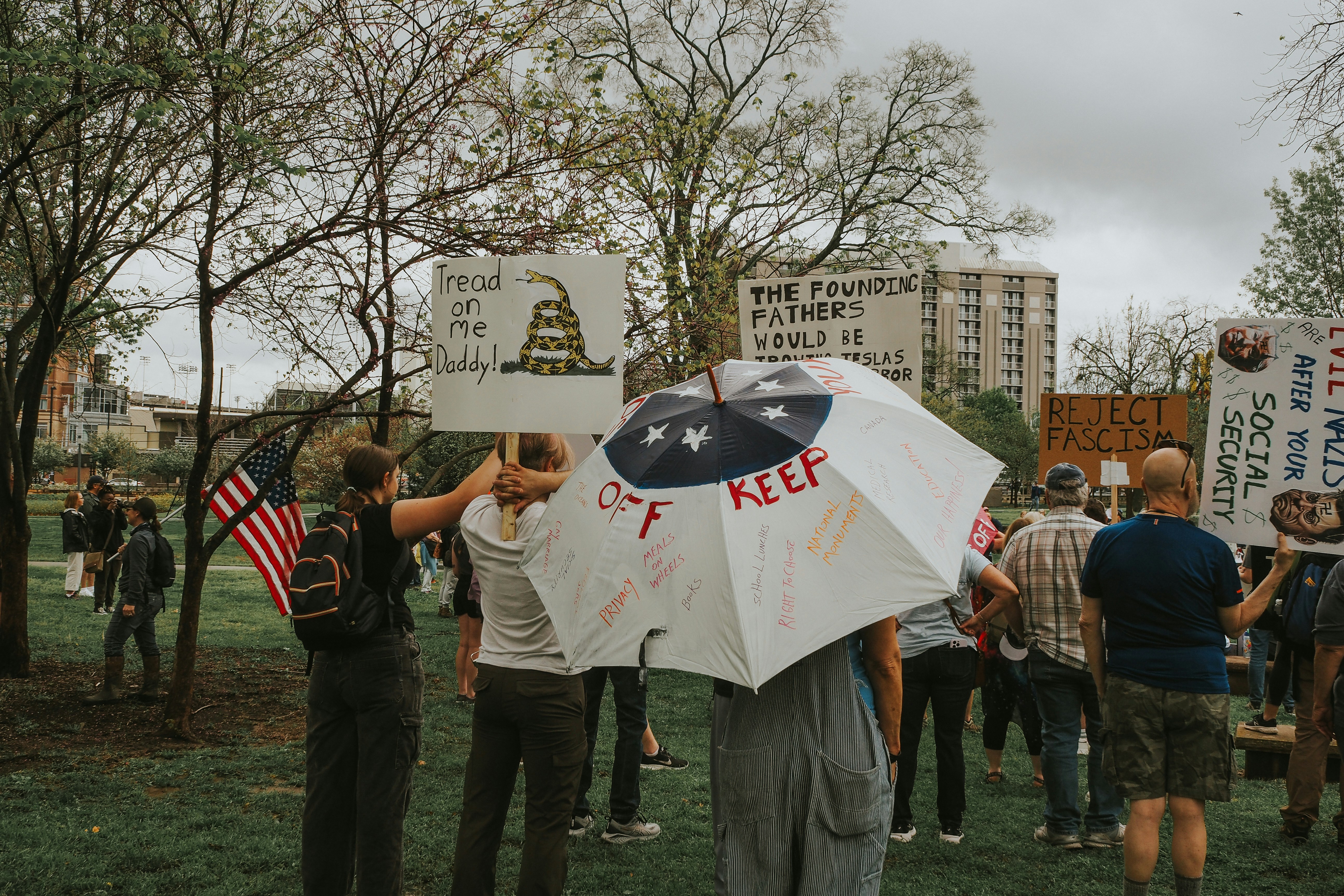 Umbrella Rally in the Park: Signs, Flags, and a Crowd United by Messages
