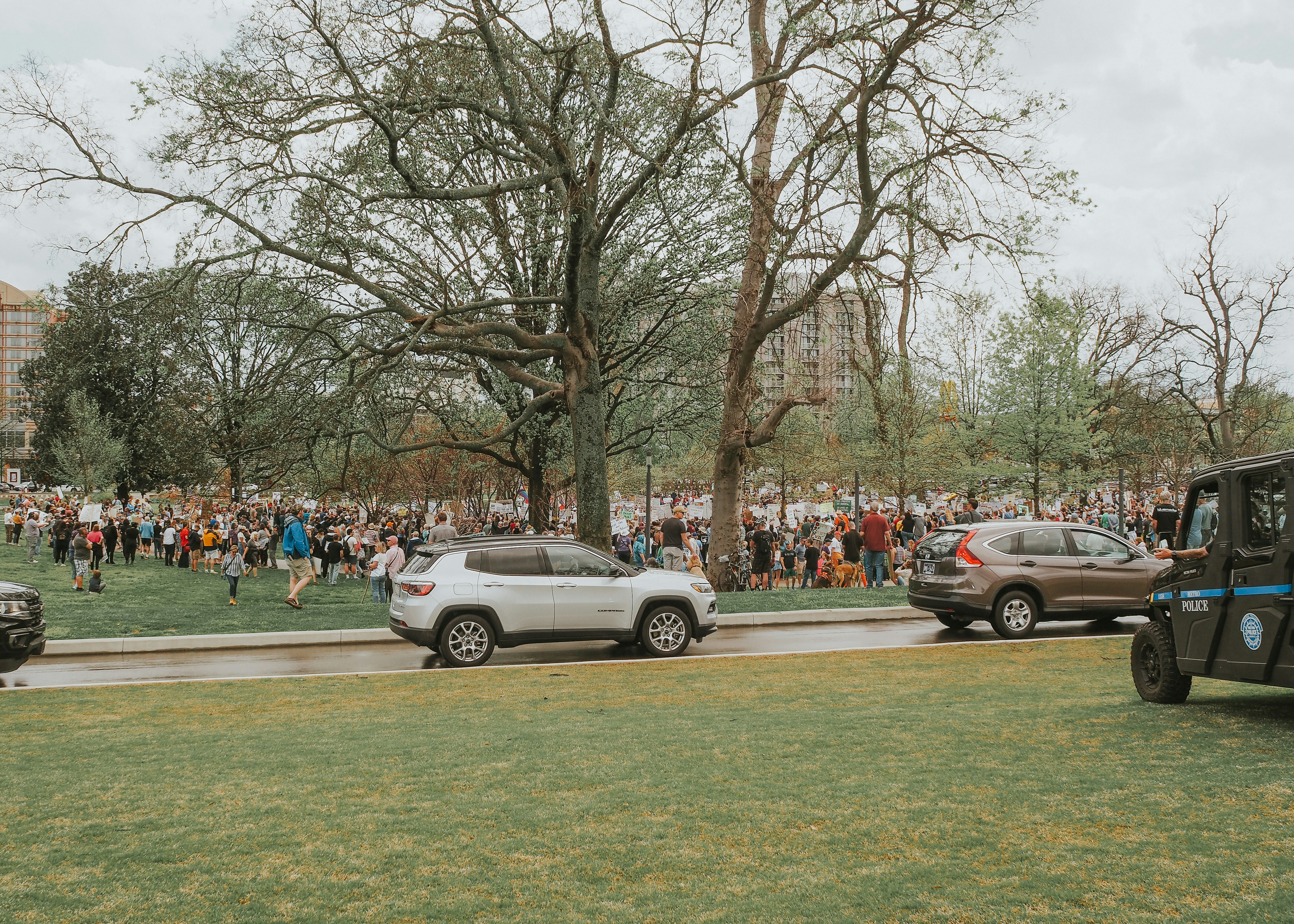 Cars are parked on a grassy lawn with many people. photo – Free Car ...