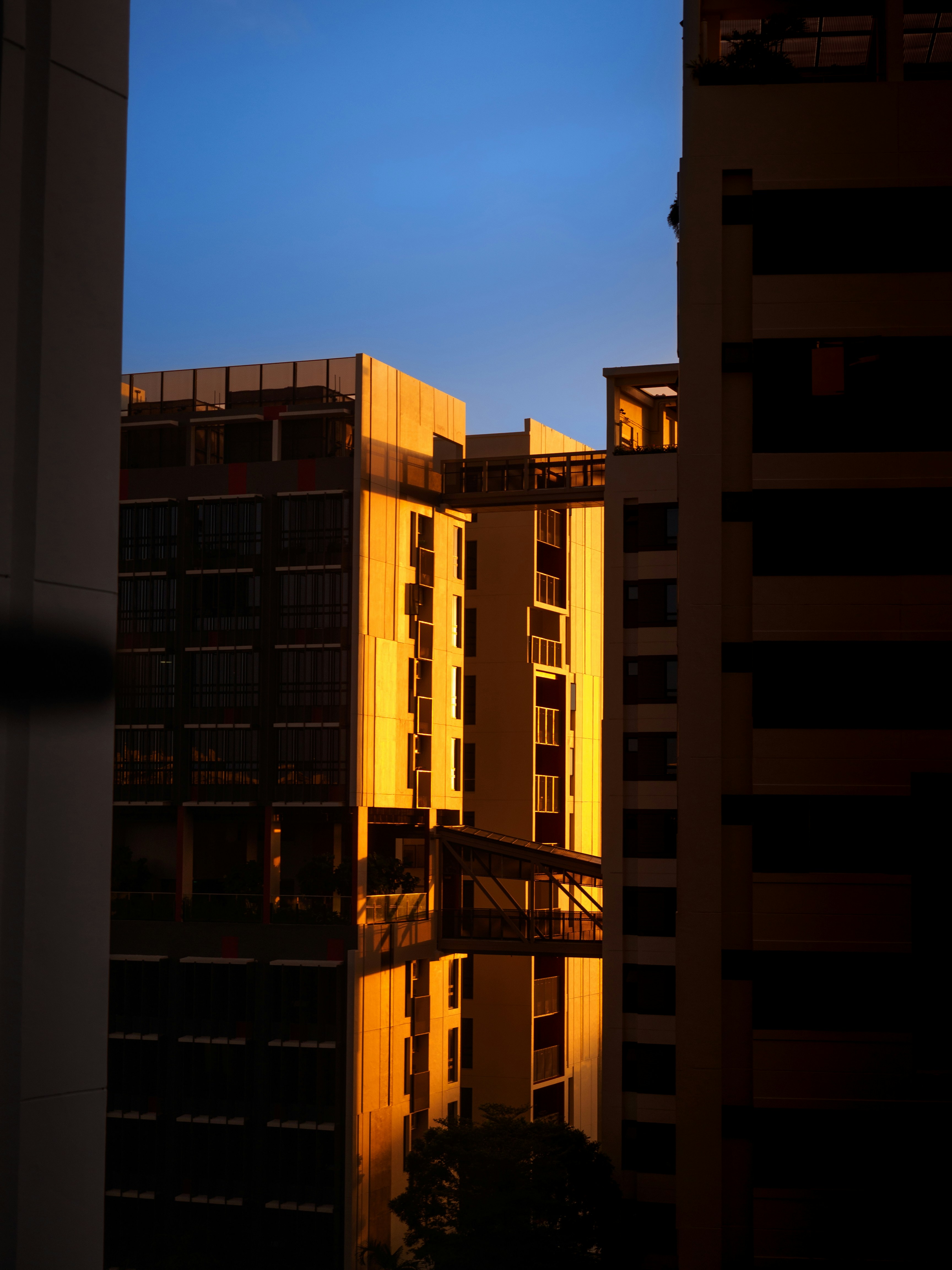 Warm sunlight illuminates a tall building facade between darkened structures under a clear blue sky.