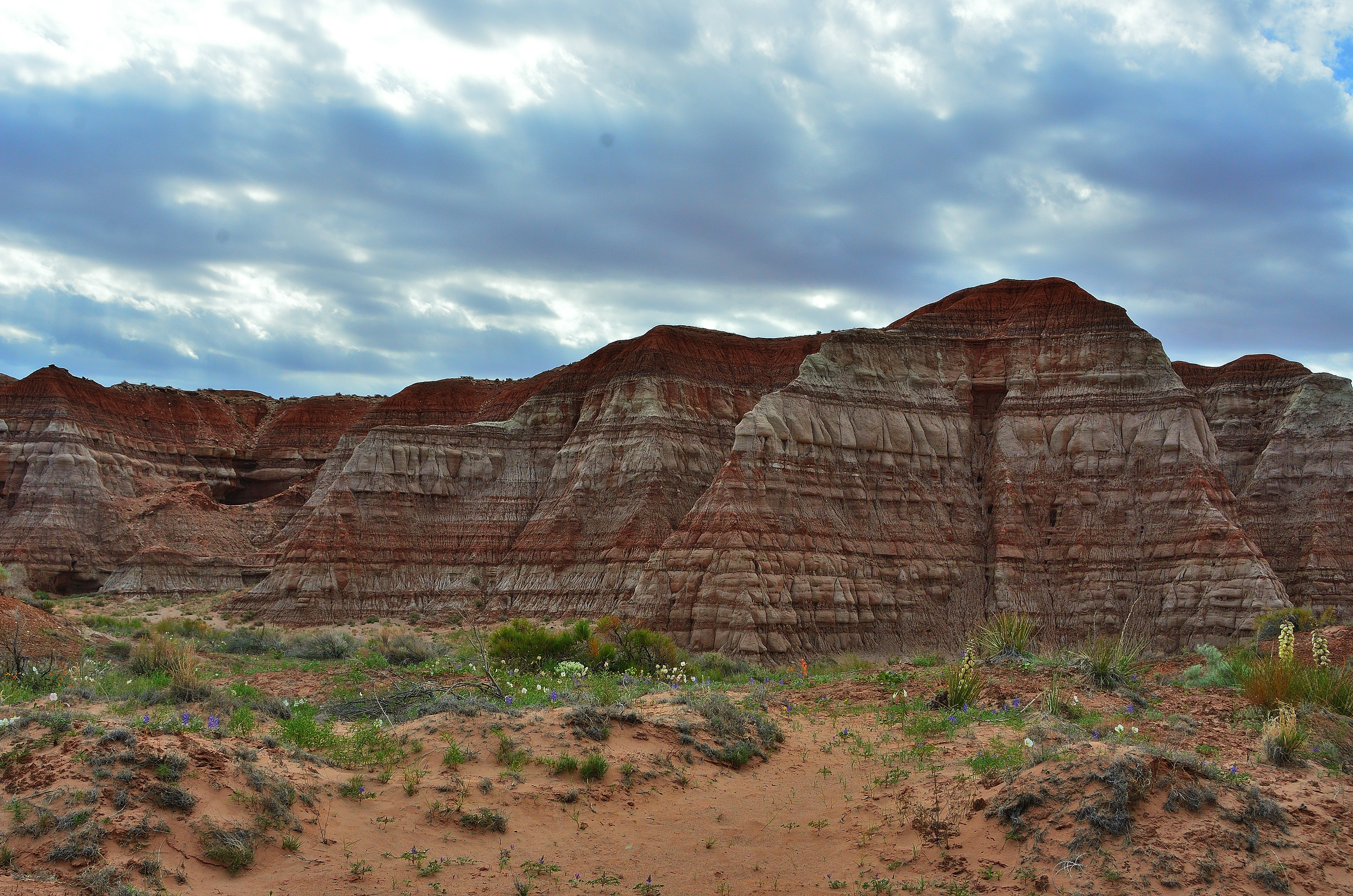 Layered Earth: The Majesty of Eroded Cliffs