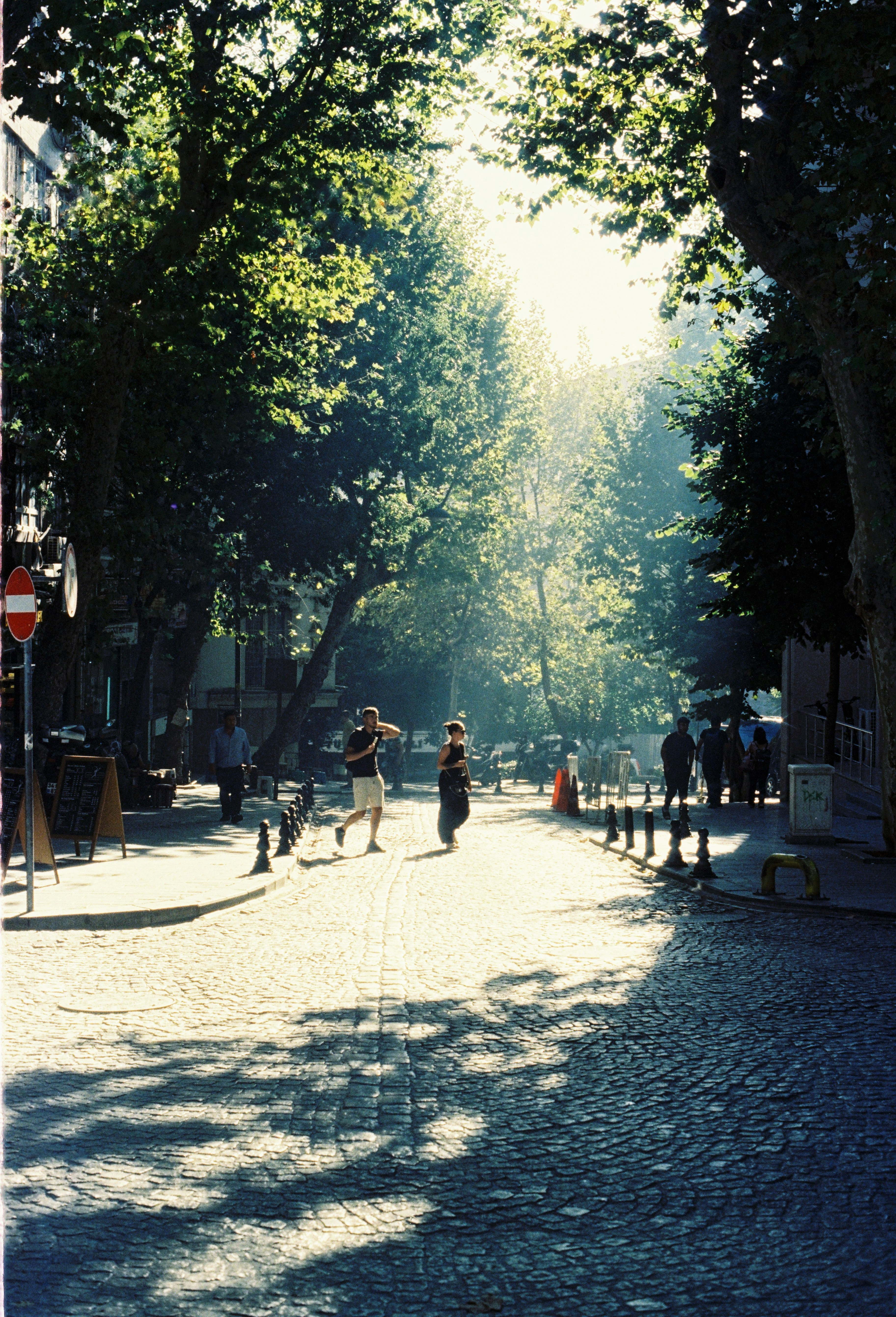 Pedestrians walking on a sun-dappled cobblestone street lined with lush trees.