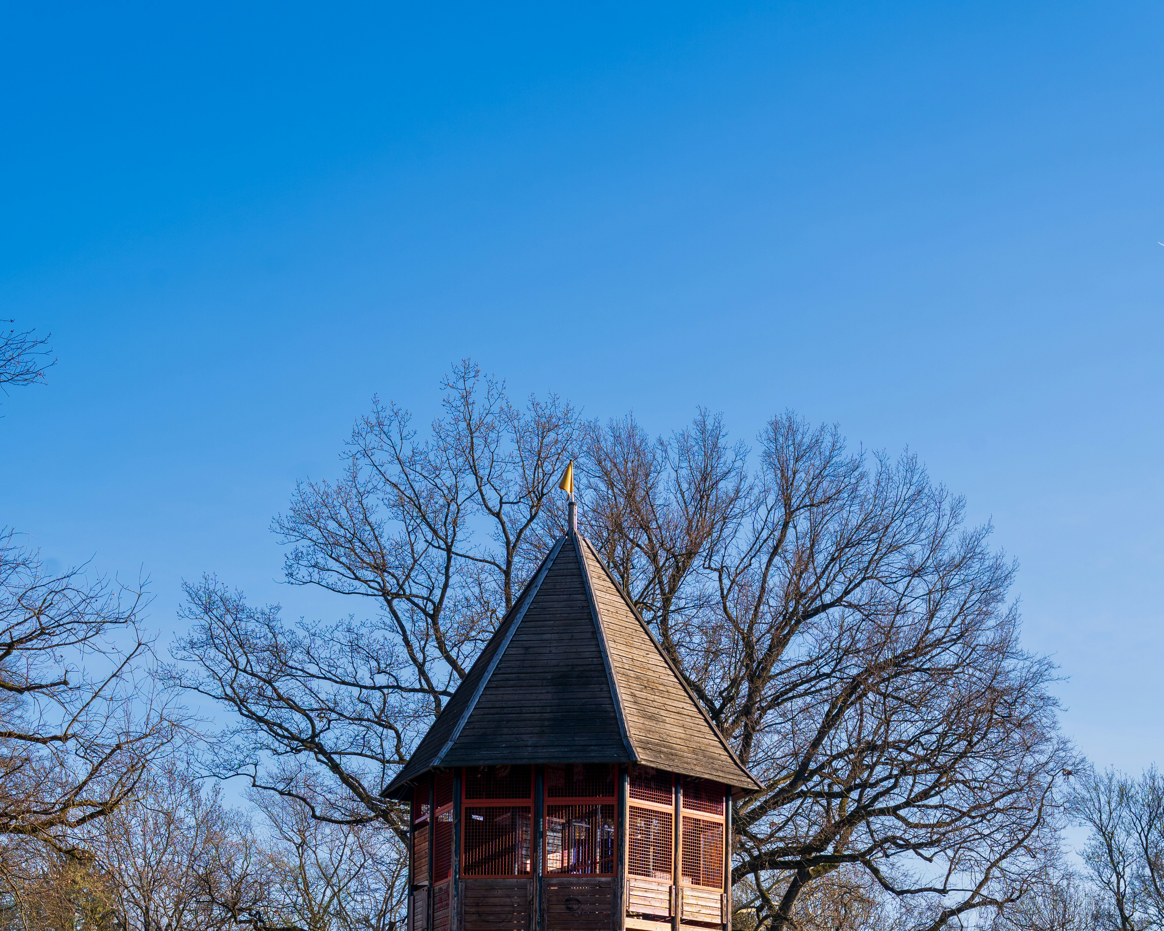 Historic wooden tower surrounded by bare trees under a bright blue sky.