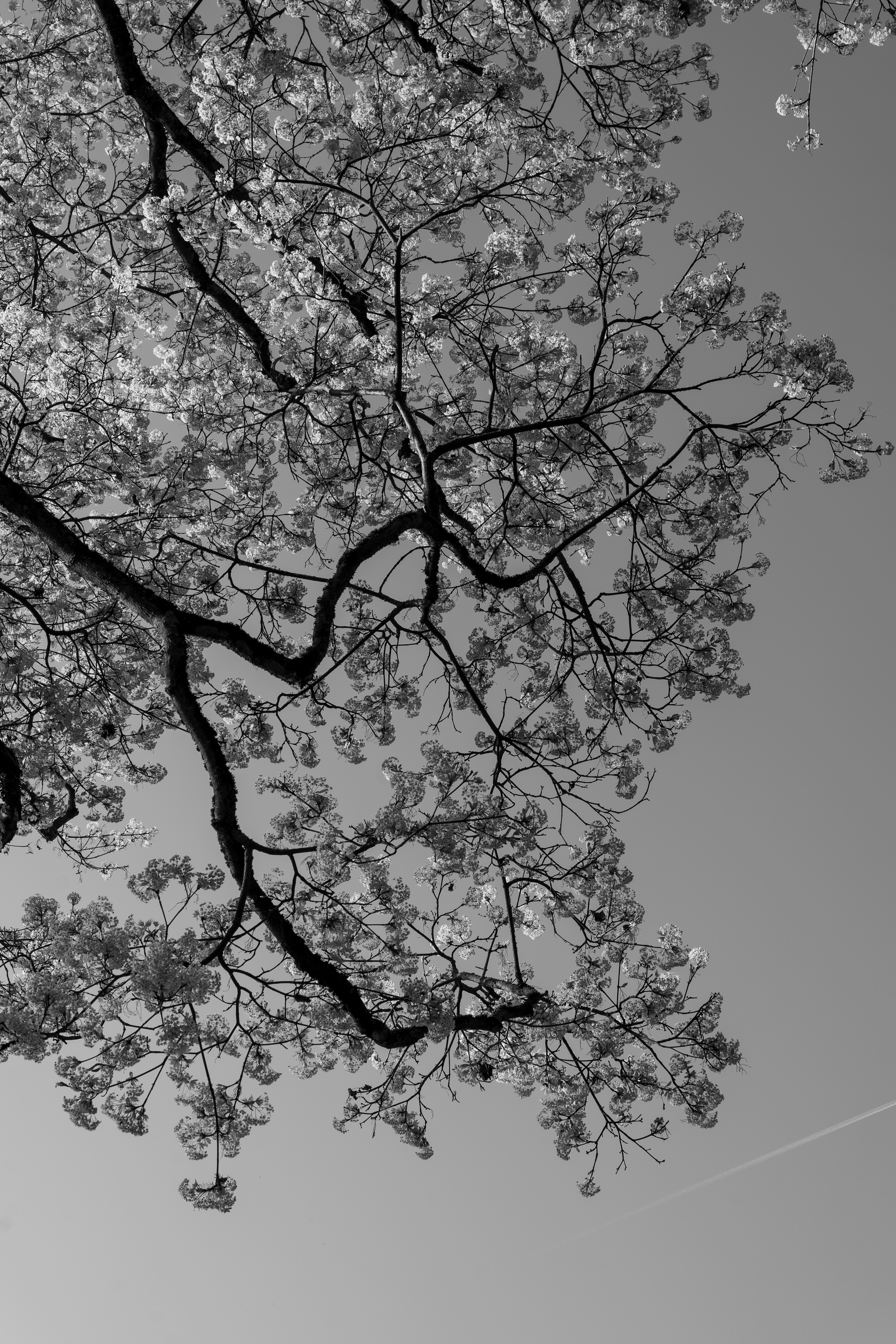 Photo by Mohamed B. with Sony Alpha 7C