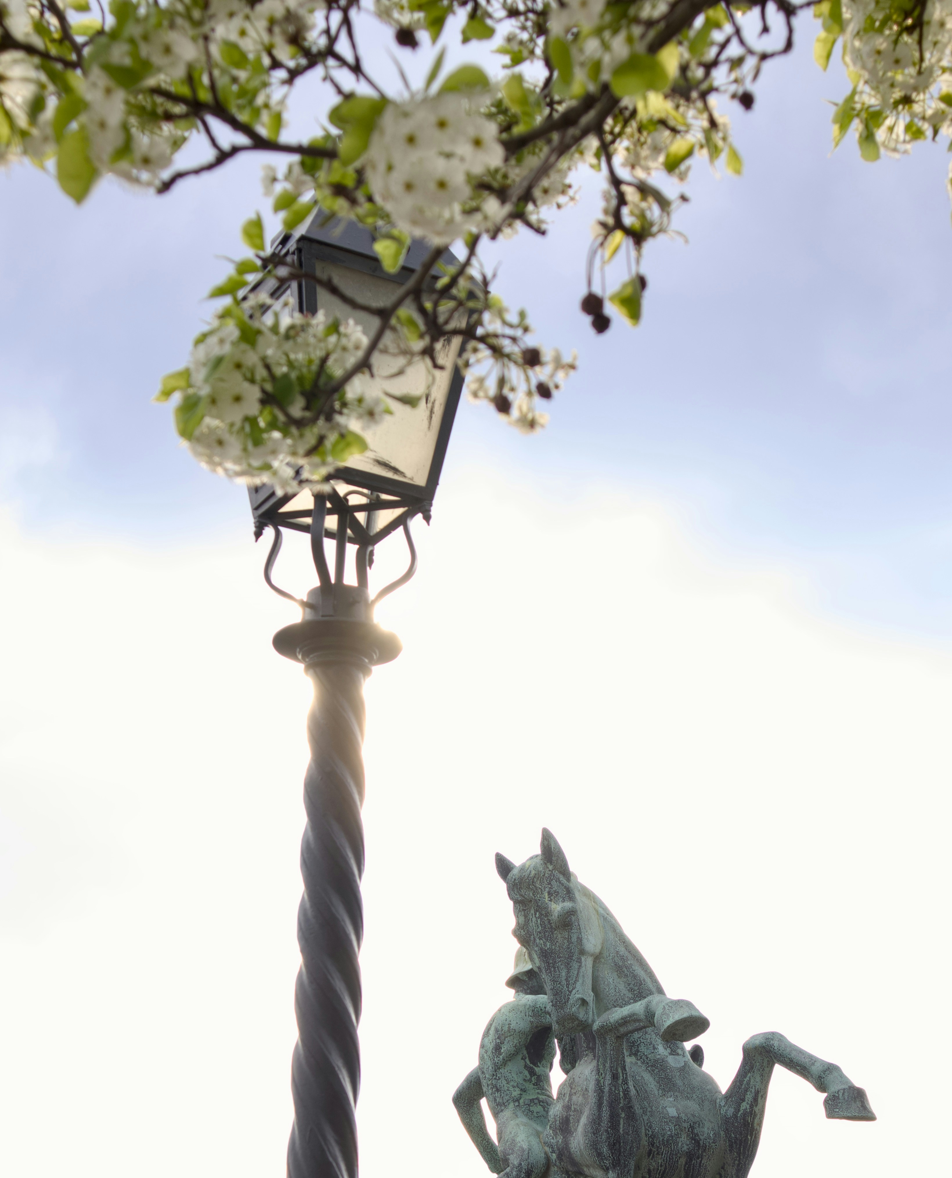 Twisted Lantern Among White Blossoms Beneath a Backlit Sky