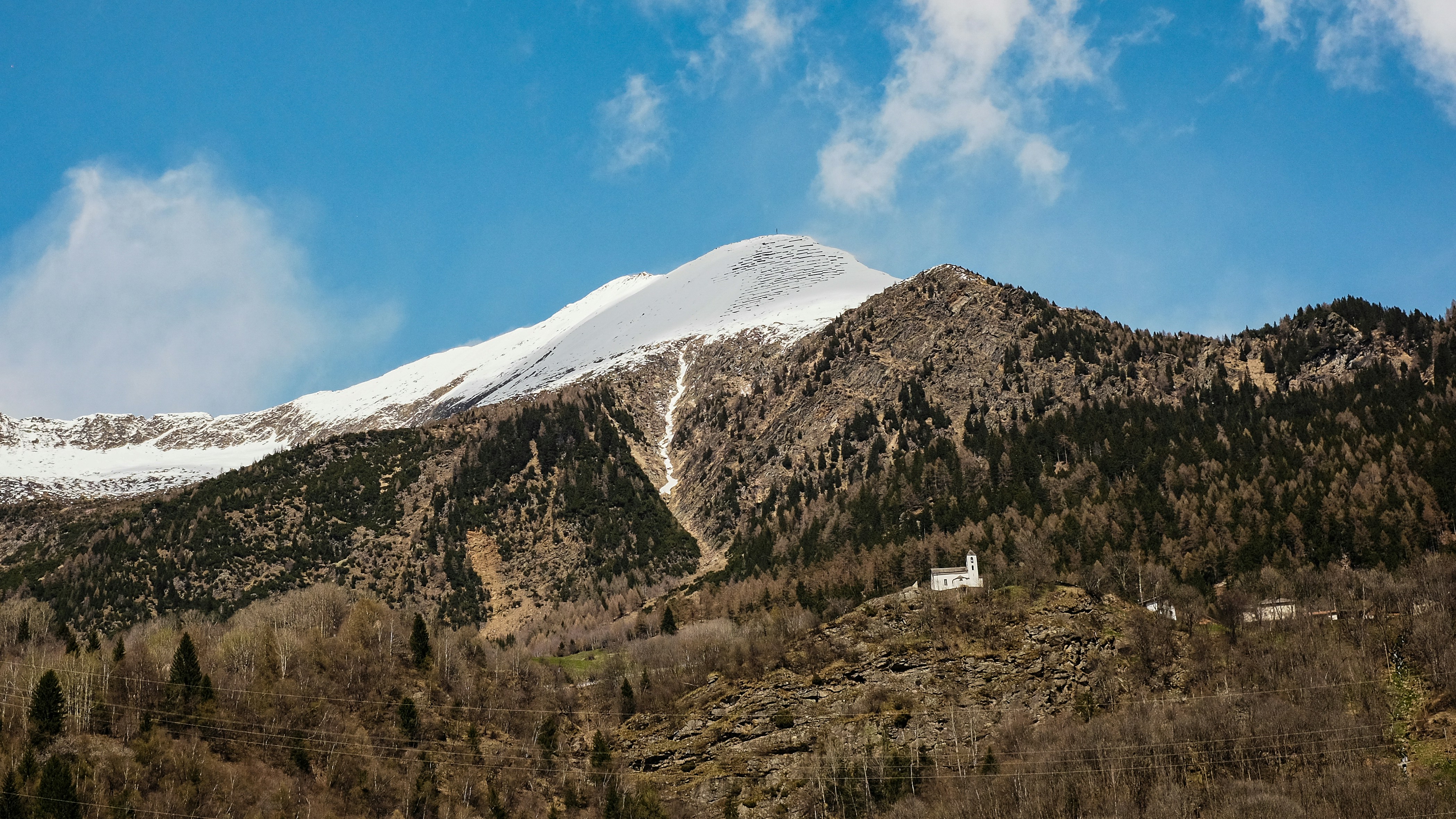 Snow-capped mountain under a bright blue sky, viewed from a forested hillside.