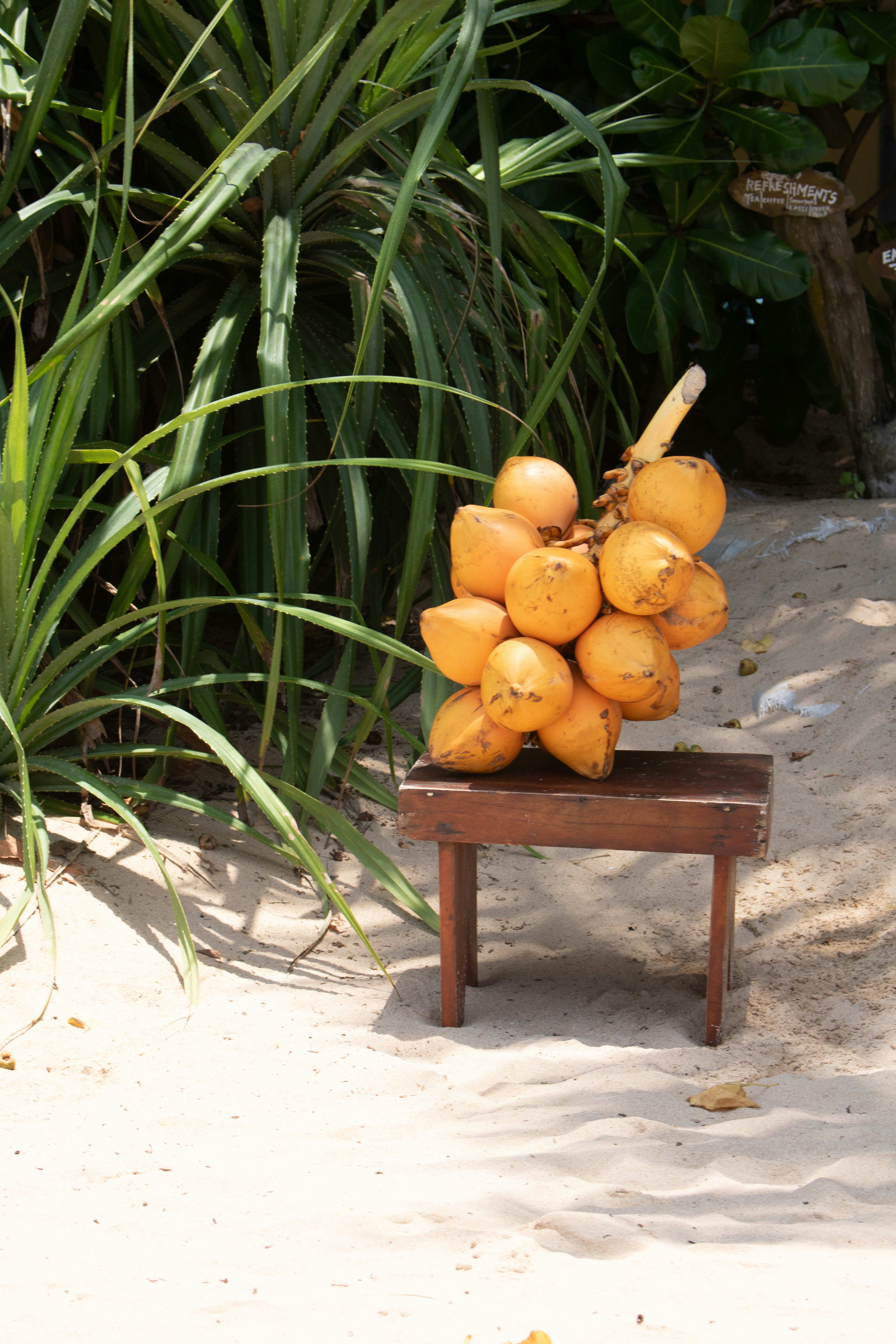 Coconuts rest on a stool at the beach. photo – Free Fruit Image on Unsplash