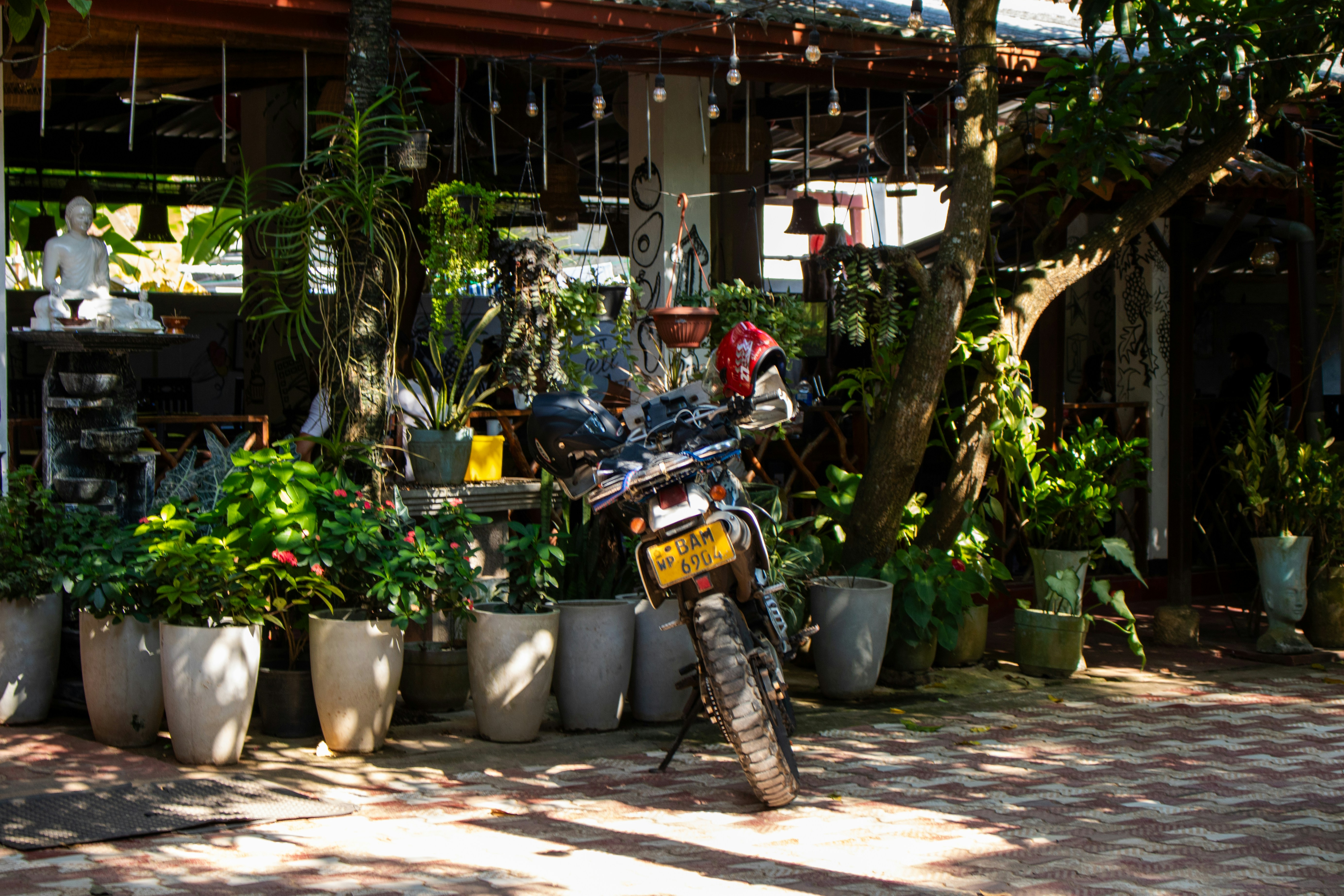 Bike at Rest Amid a Green Courtyard of Pots