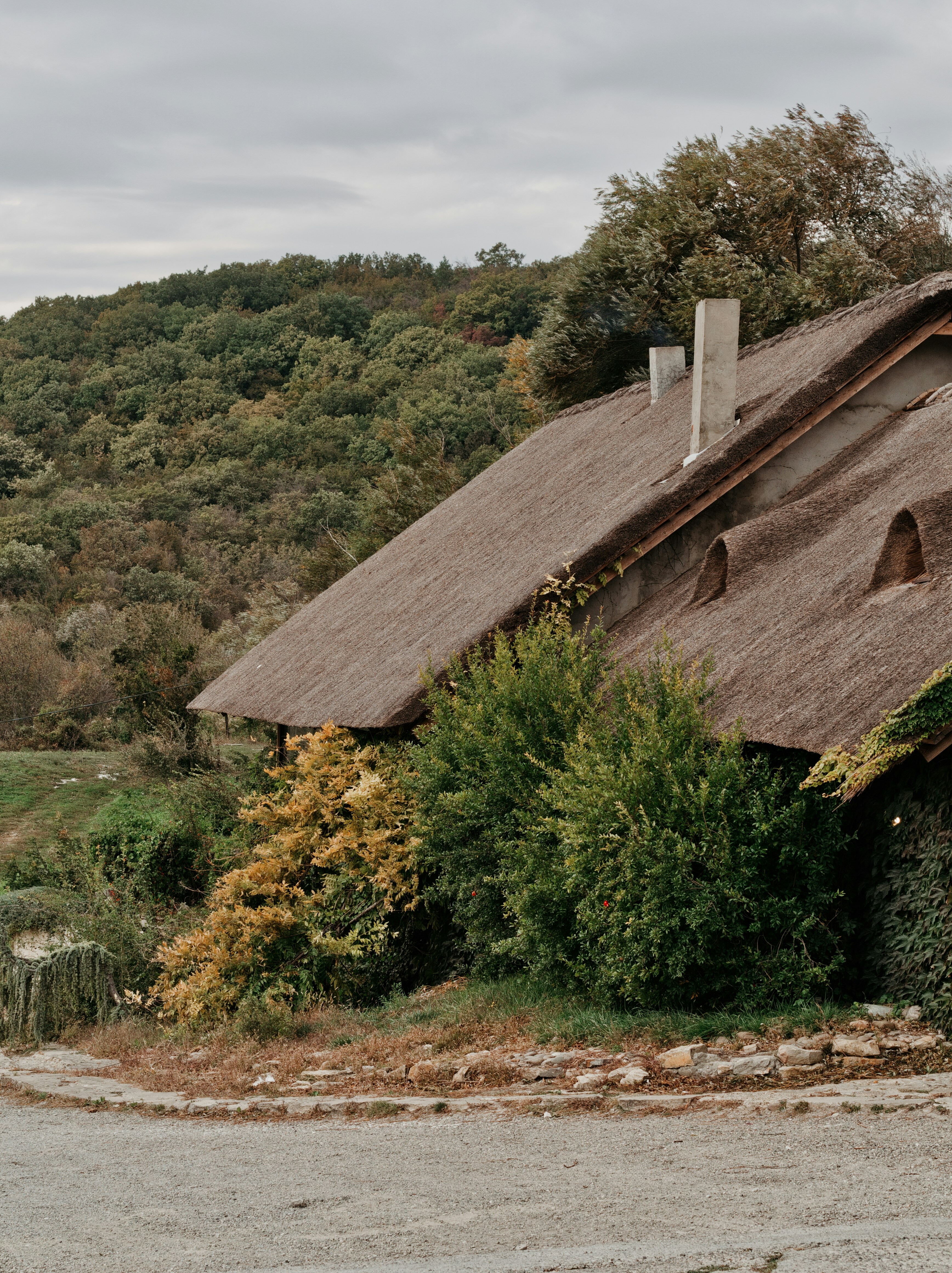 Thatched-roof cottage surrounded by lush greenery and rolling hills under a cloudy sky.