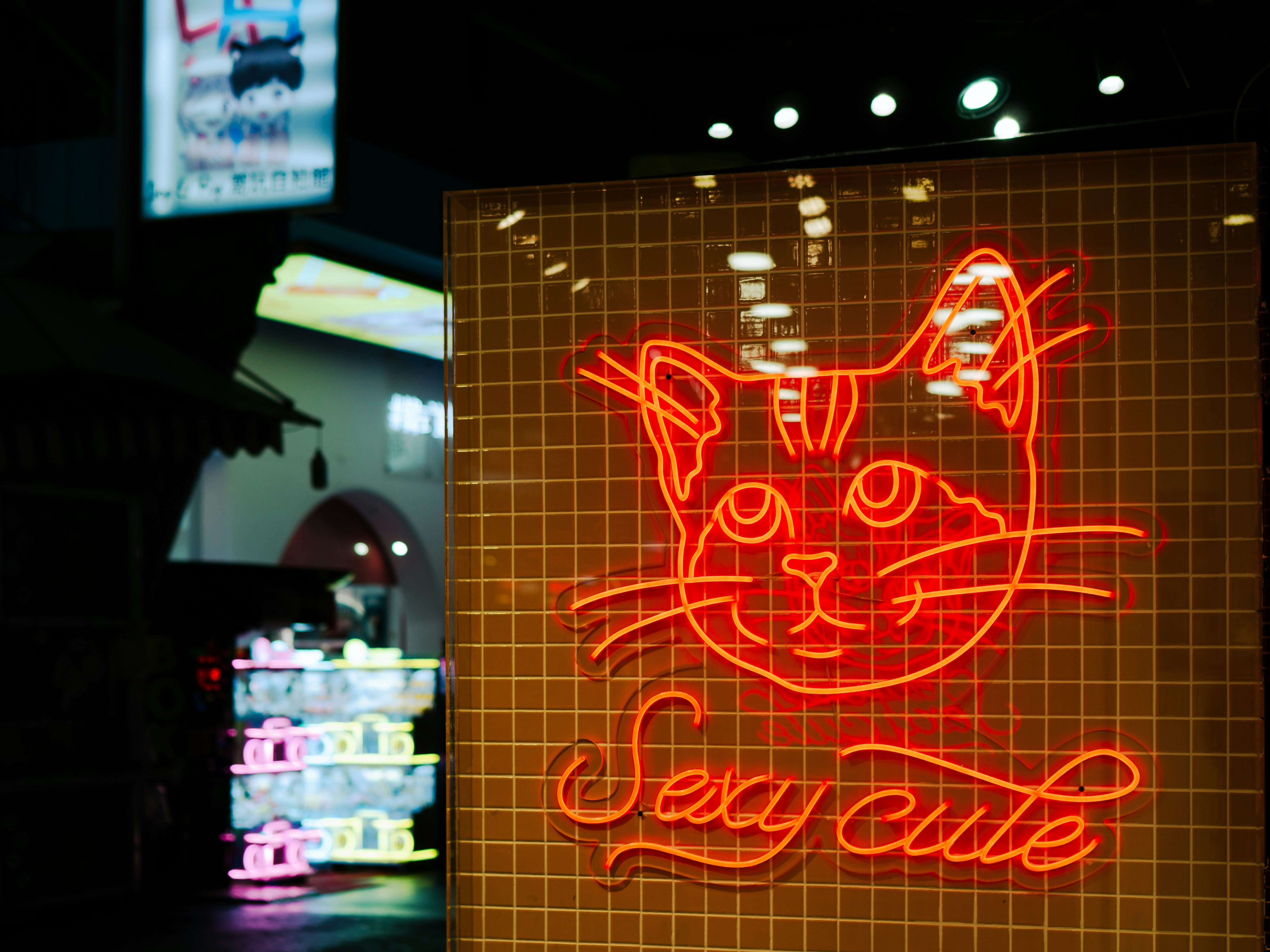 Red neon sign of a cartoon cat's head with 'Sexy Cute' cursive text, outside a boutique in a night market.