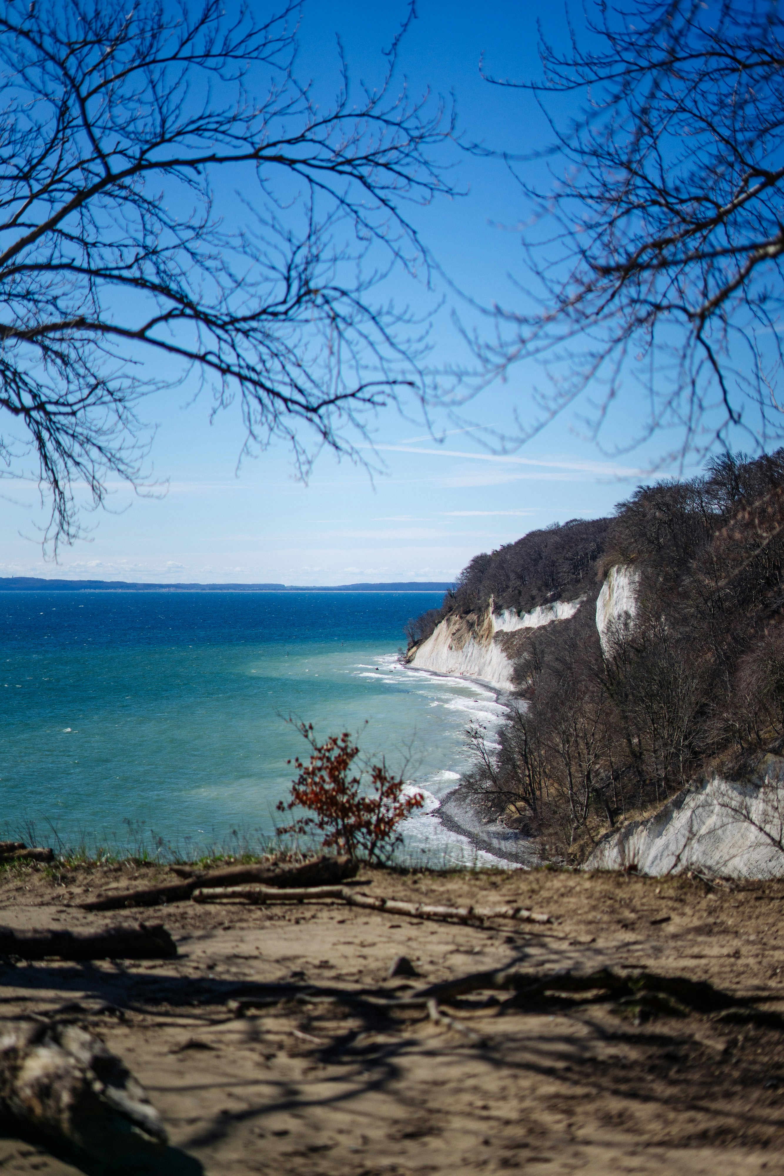 Cliffs overlook a turquoise sea framed by bare tree branches against a clear blue sky.