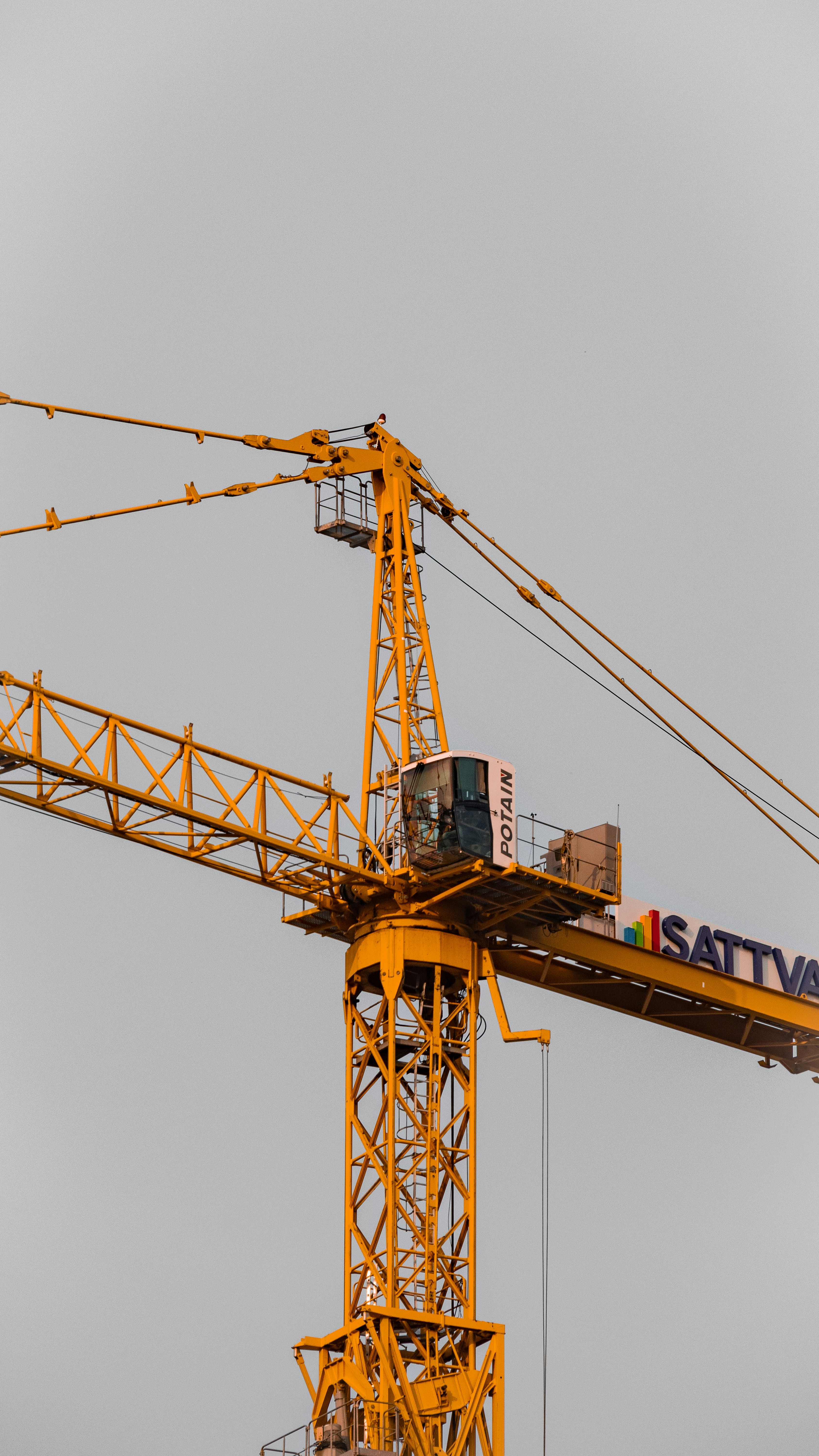 Crane Crown: The Yellow Lattice Reaching into a Pale Sky