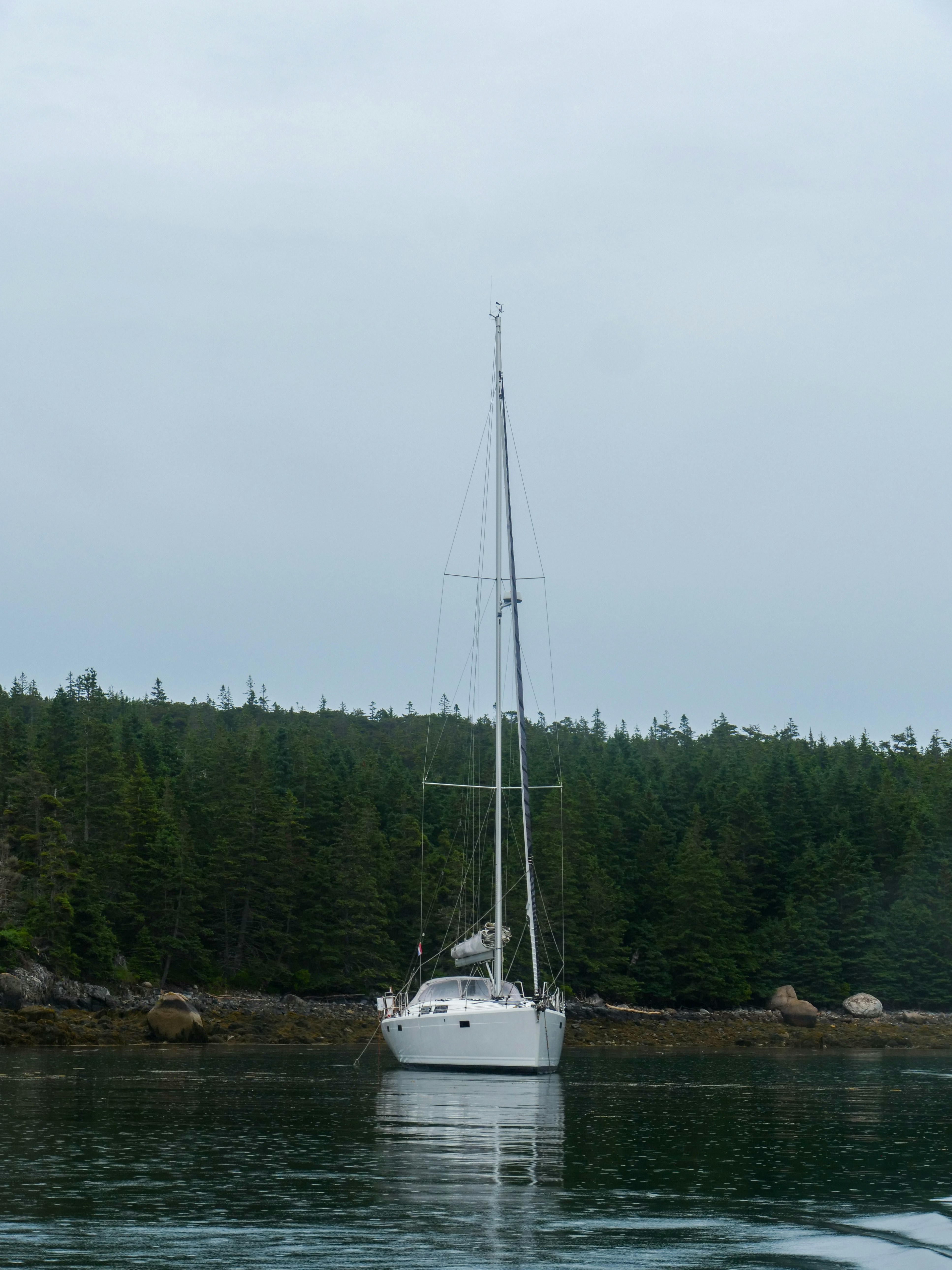Solitary Sailboat in Tranquil Waters