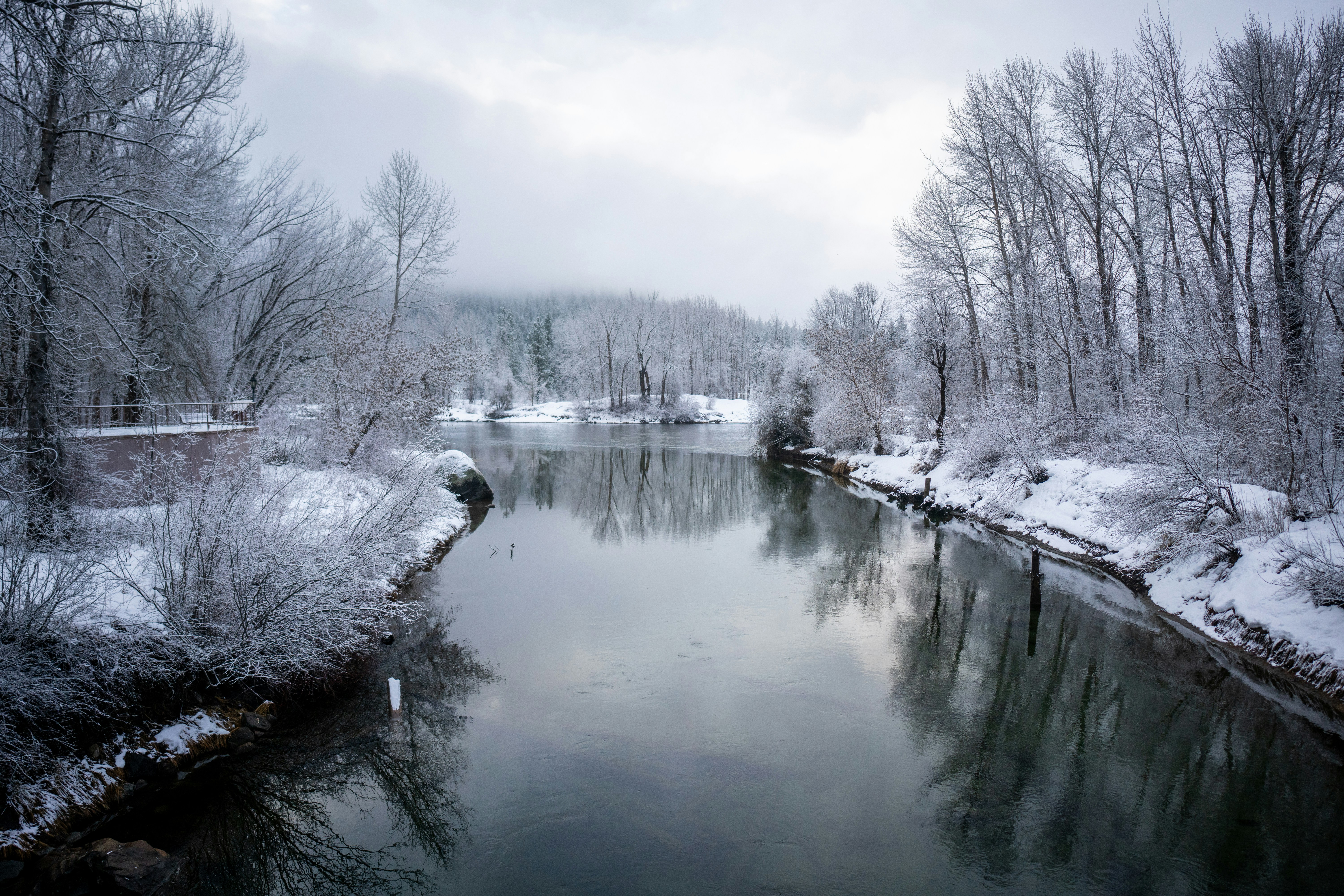 Snow-laden trees line a calm river, reflecting the overcast sky in a tranquil winter landscape.