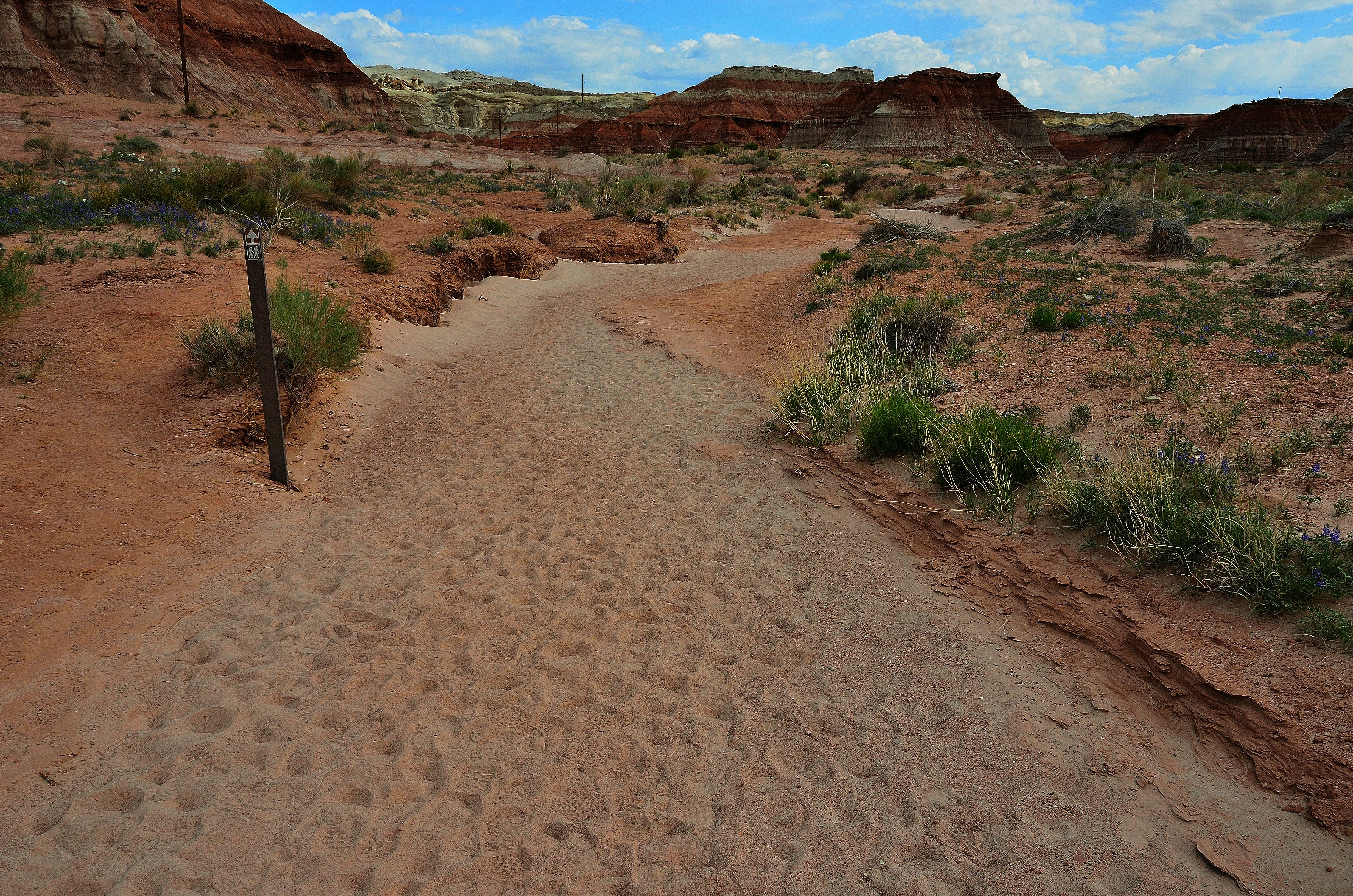 Sculpted Pathways of Grand Staircase-Escalante