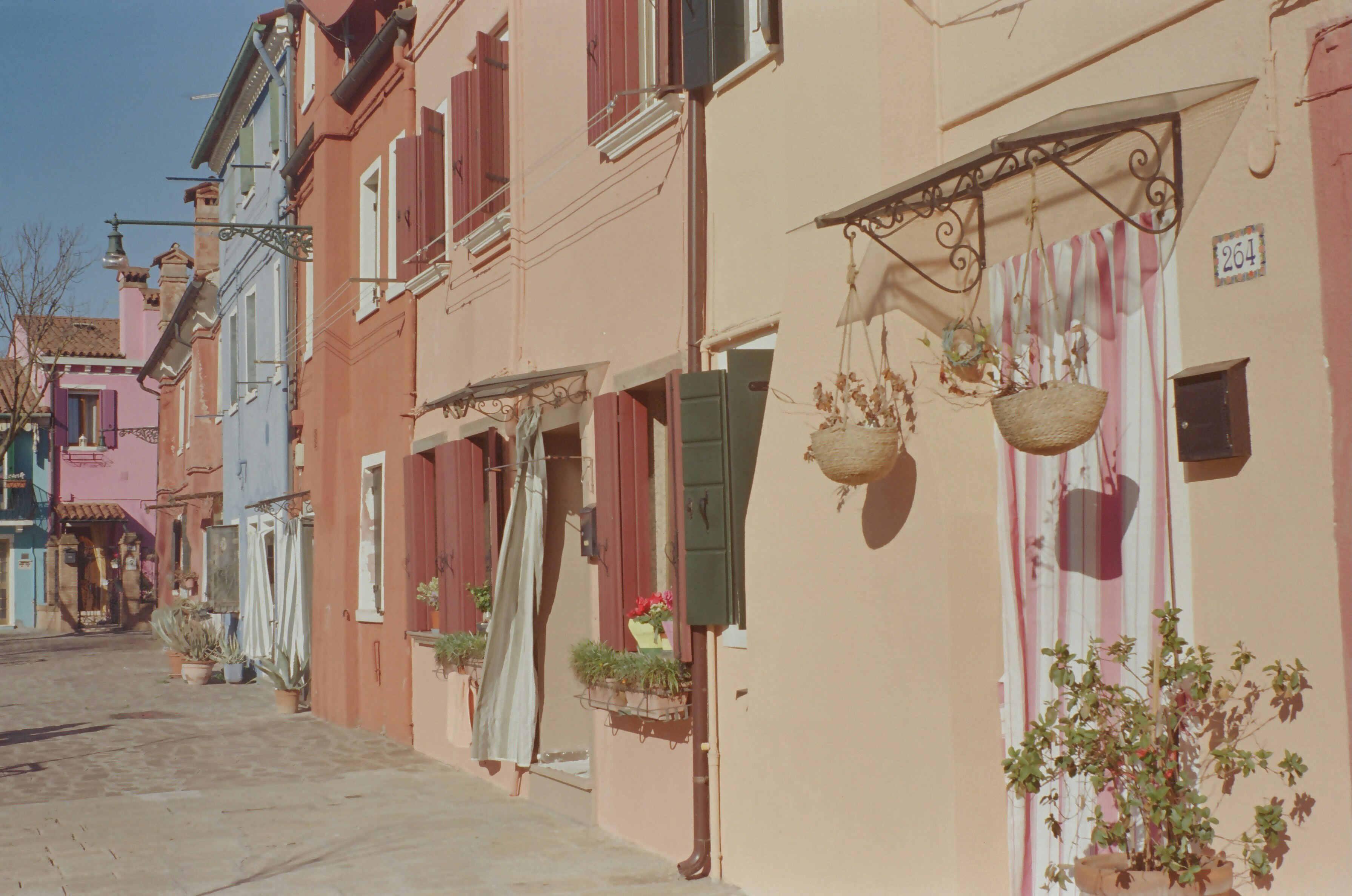 Colorful facades of Burano houses line a sunlit cobblestone street adorned with potted plants.