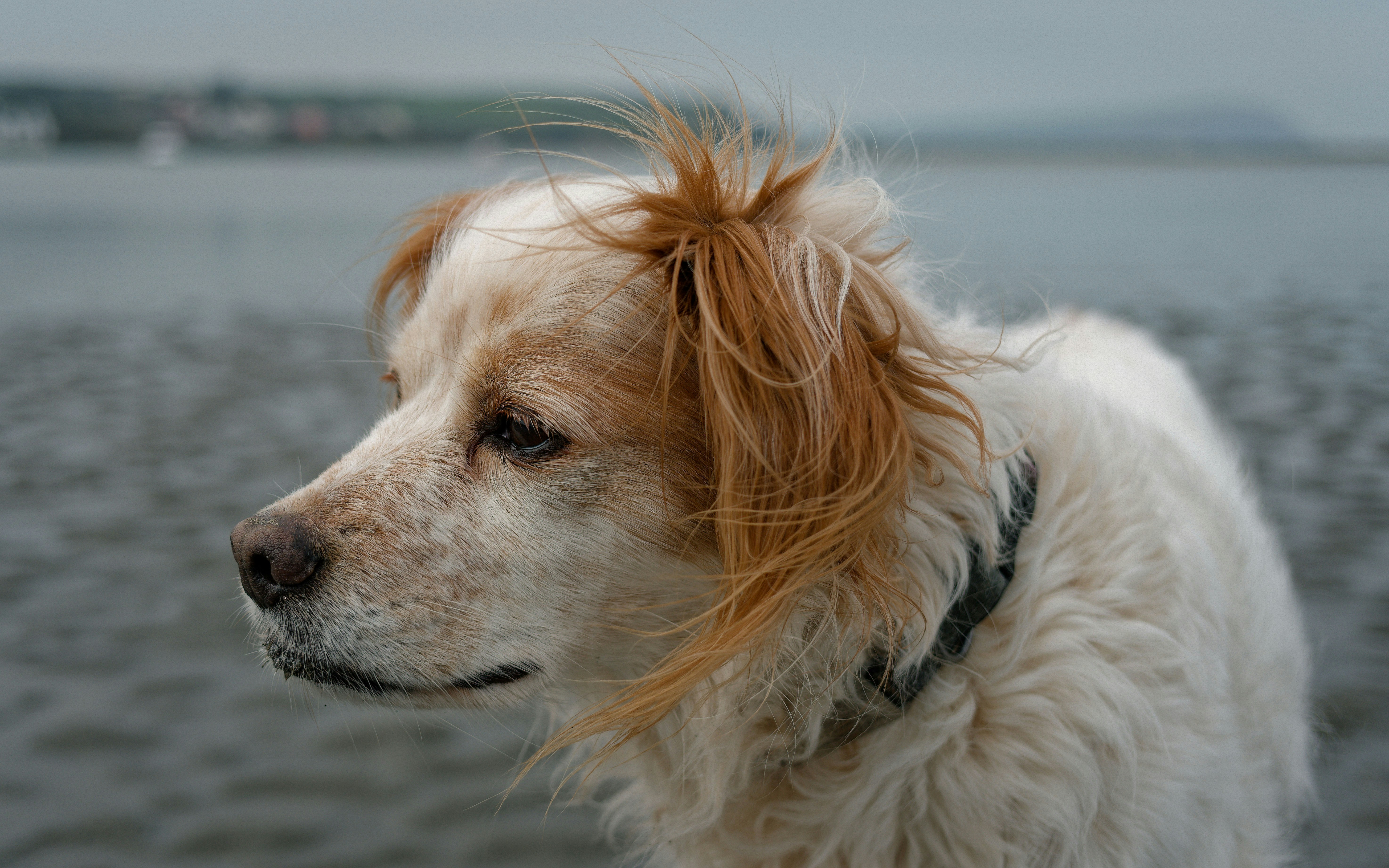 Photo by Marc Pell with Fujifilm X-T30 II