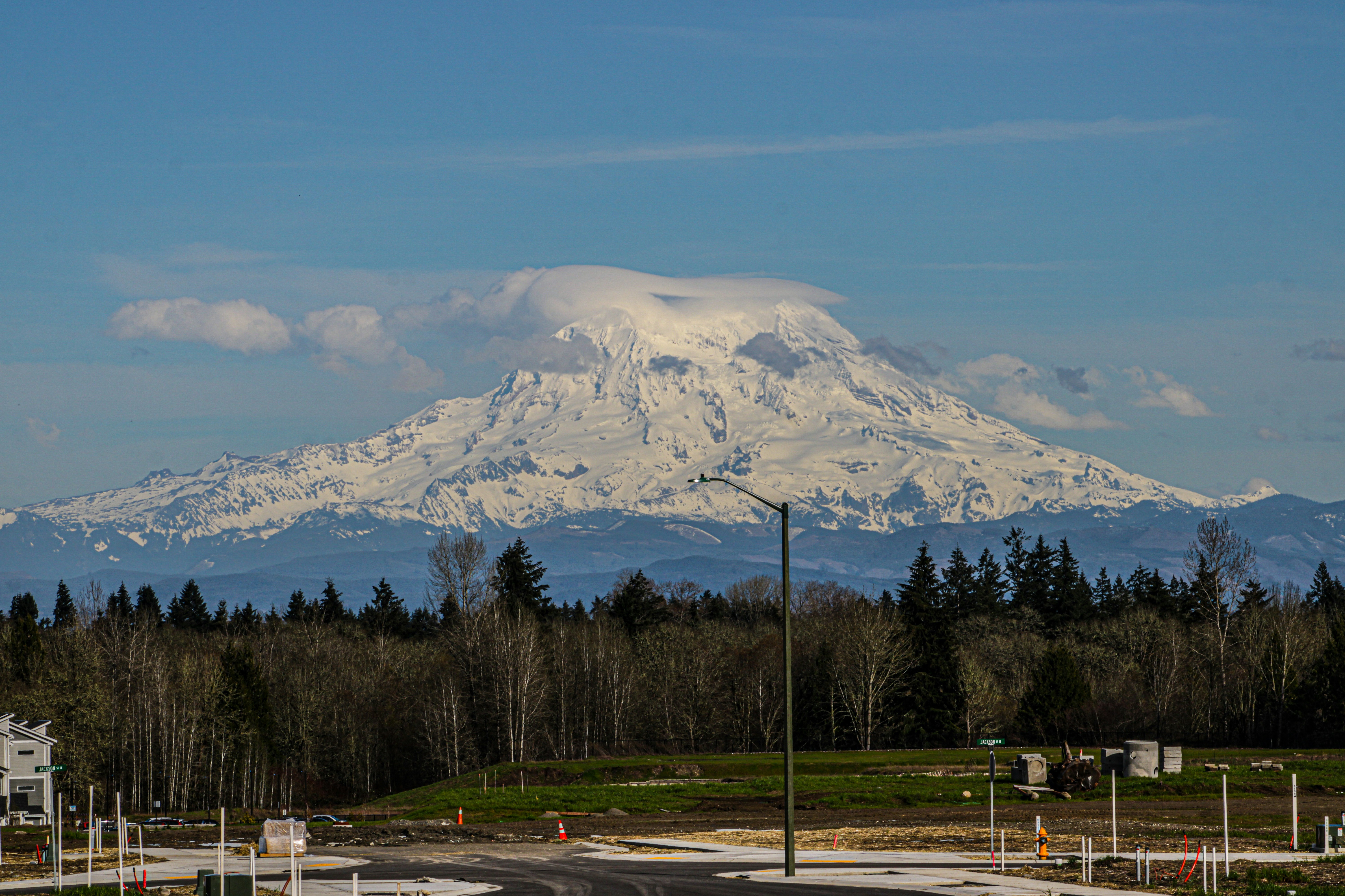 Snow-Capped Majesty Beyond the Trees