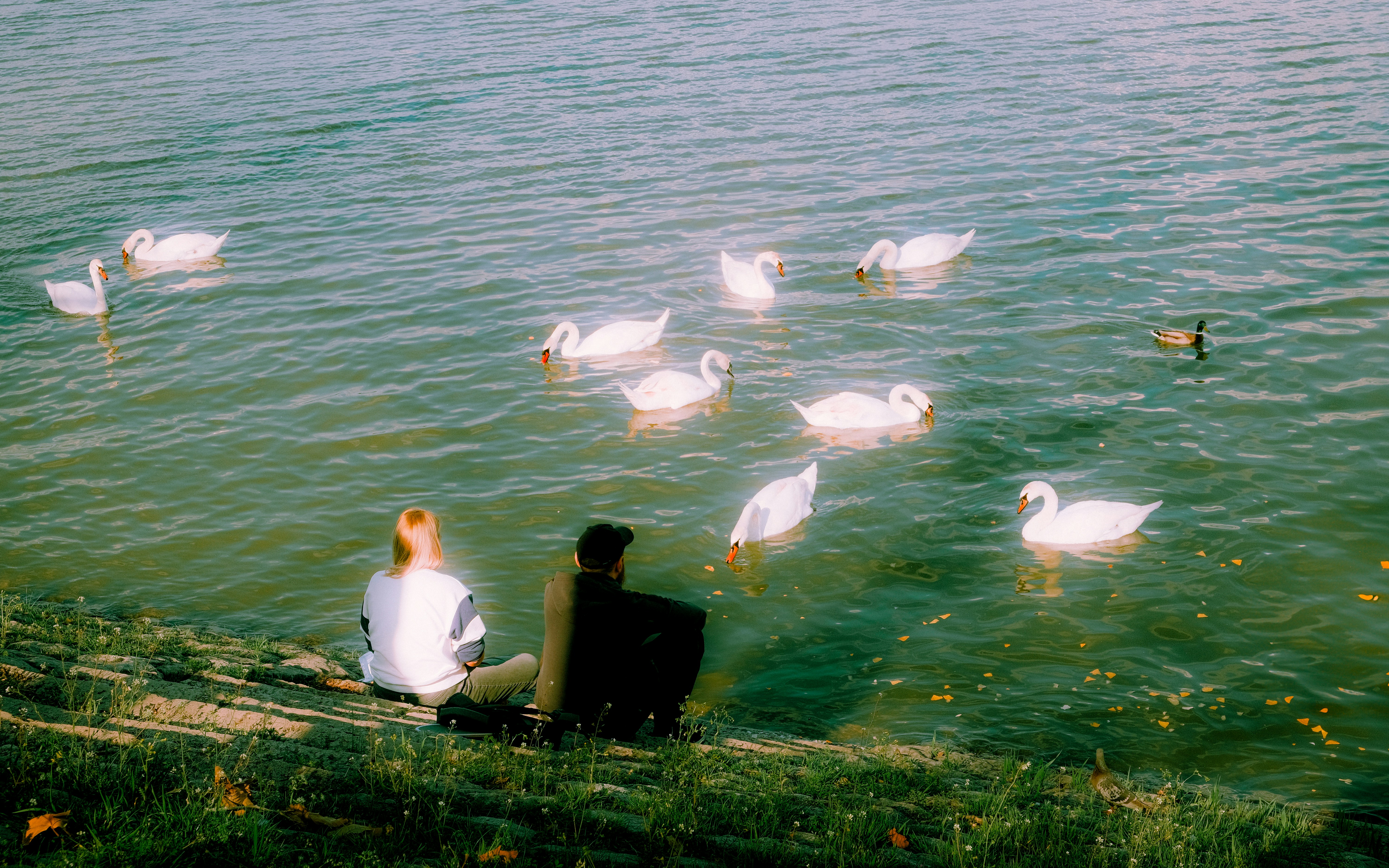 Tranquil Moments by the Lakeside