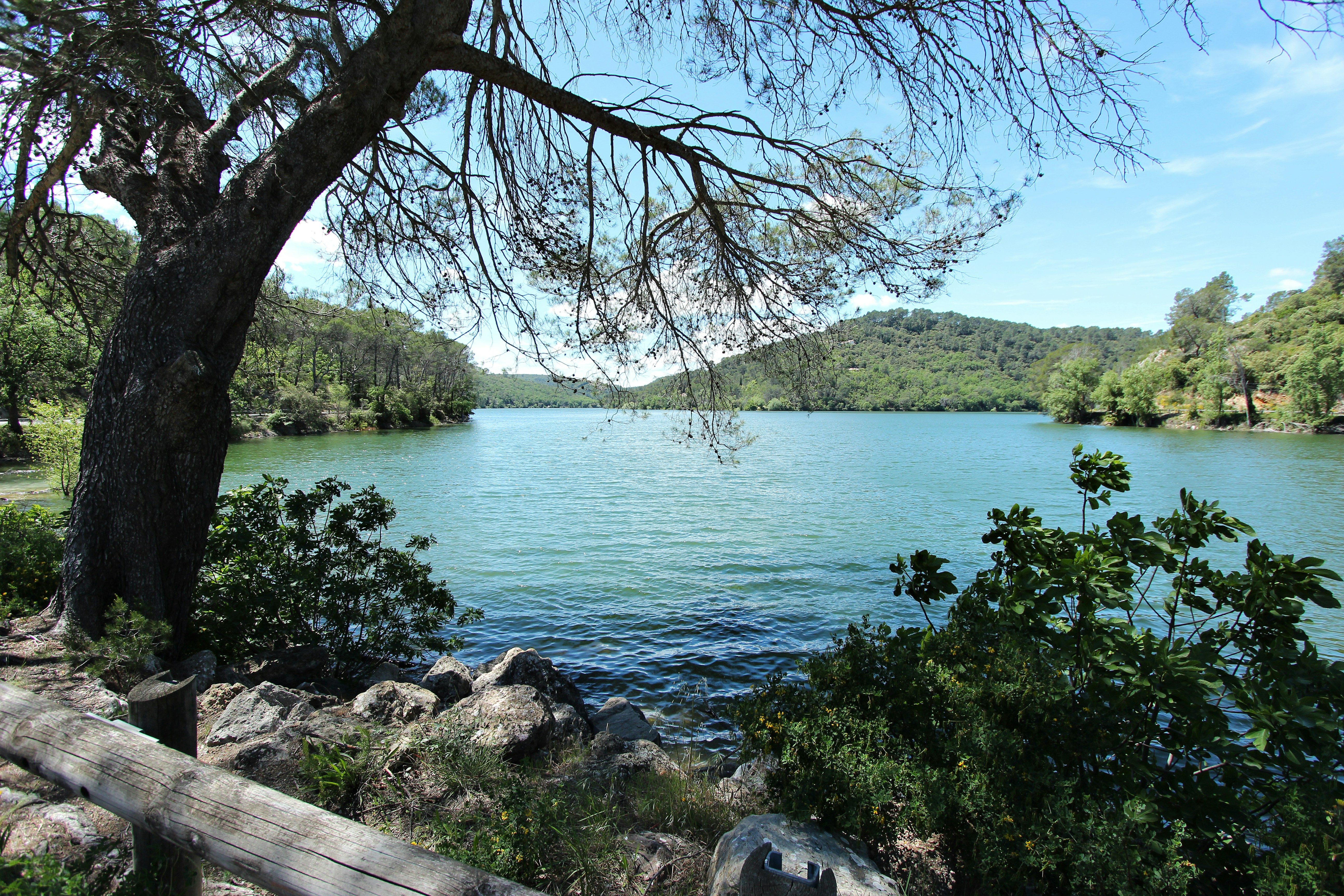 Serenity by the Lakeside