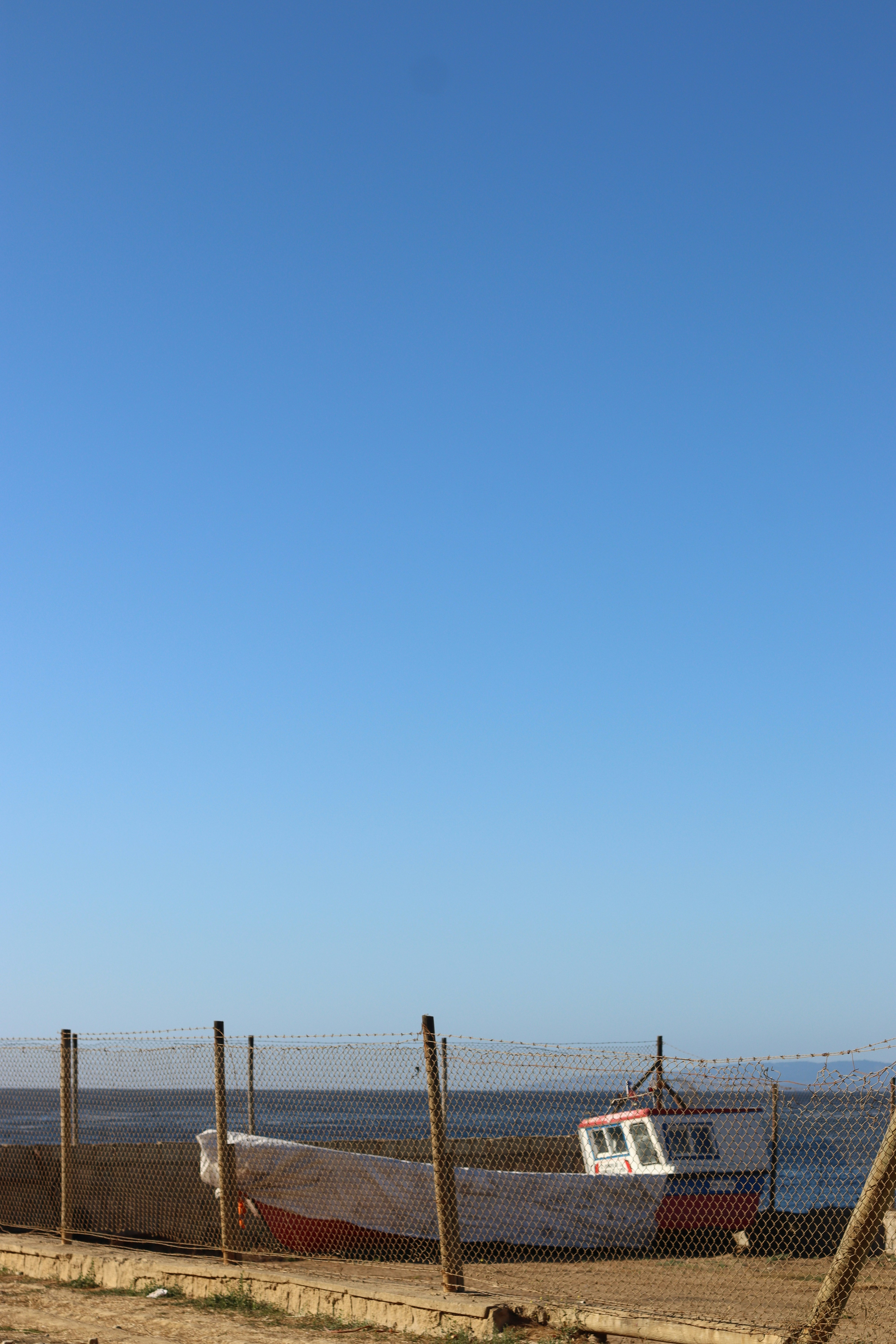 Solitude by the Shoreline