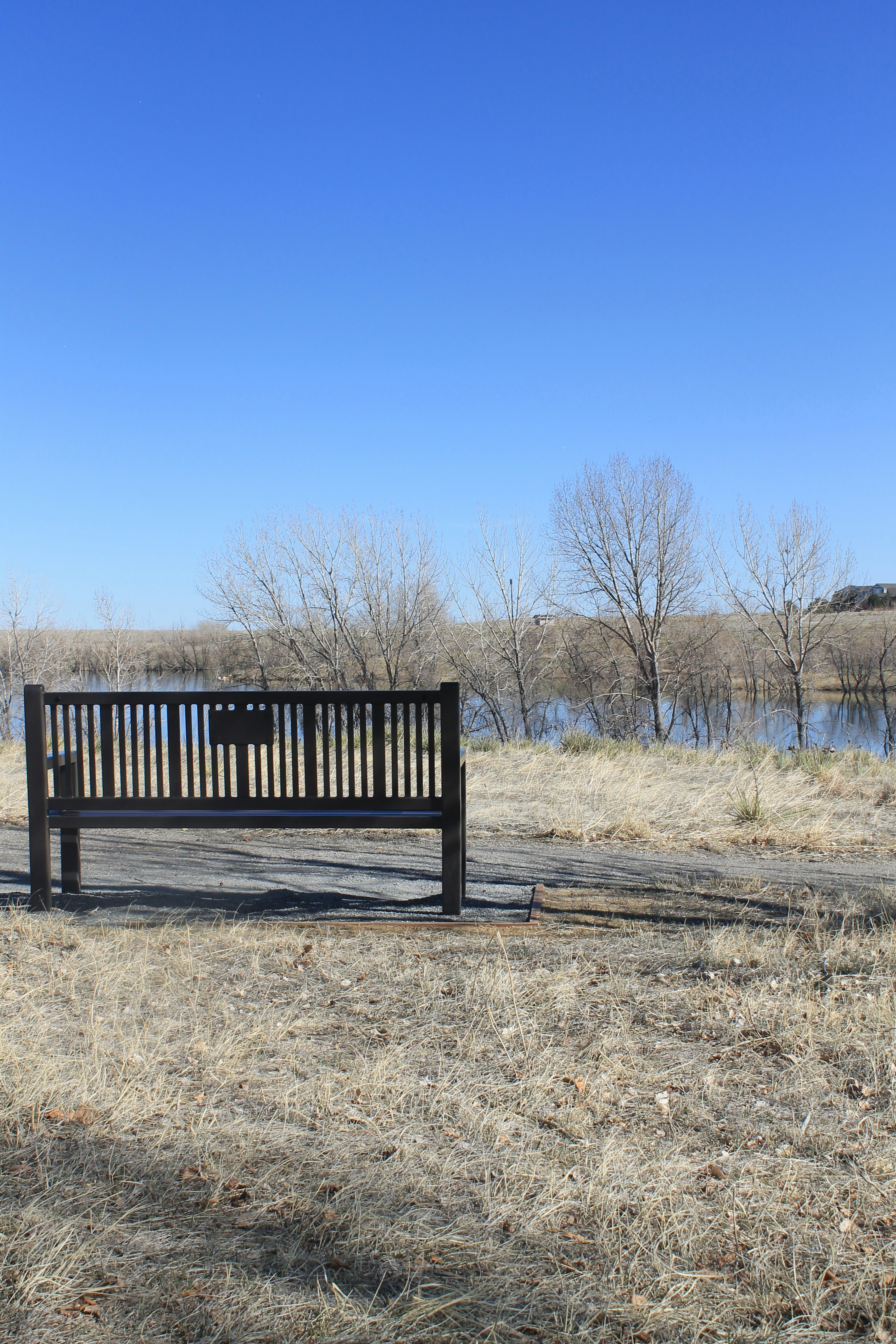 Riverside Quiet: A Bench at the Edge of Winter Light