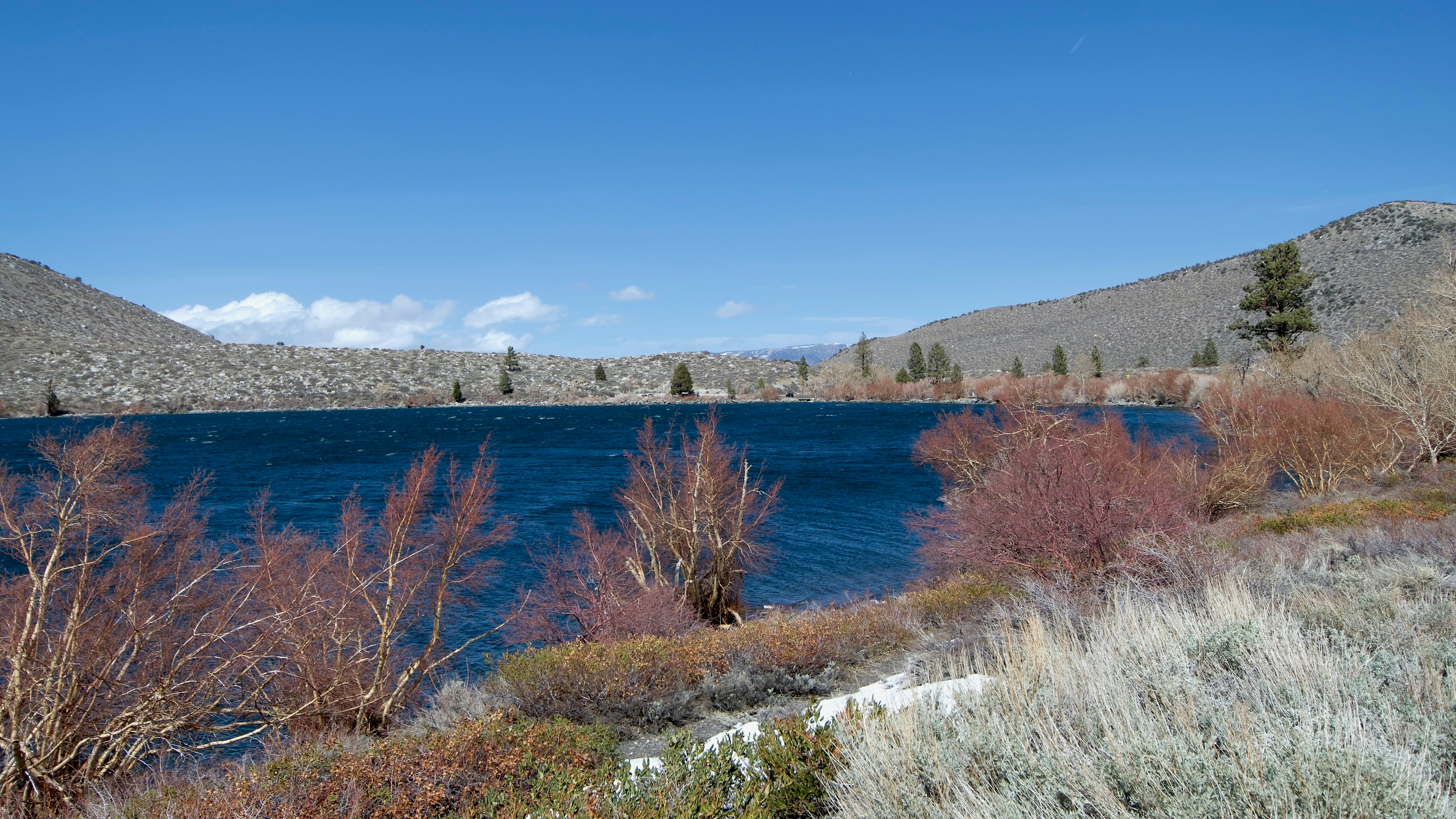 Vibrant Blues of Convict Lake