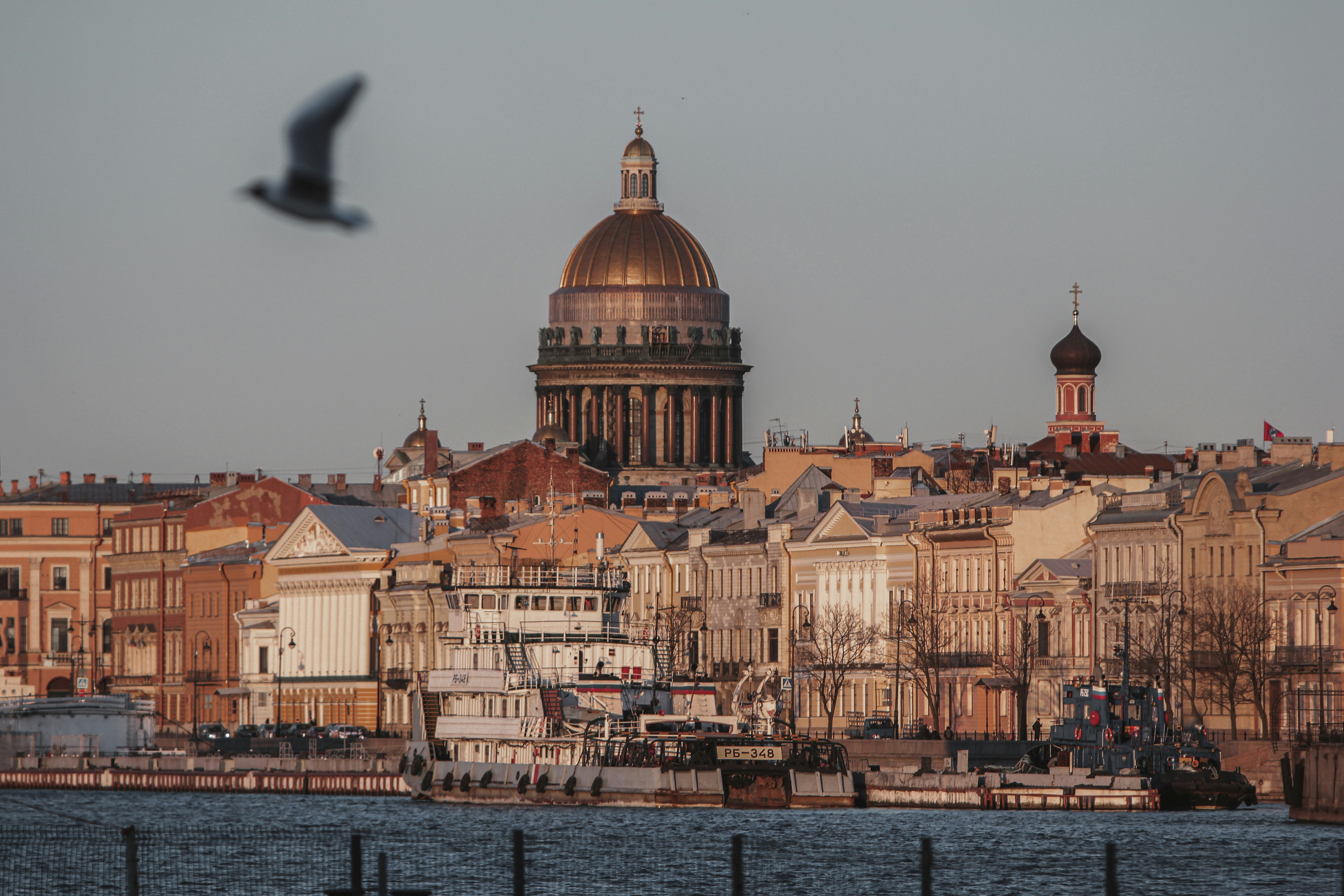 Saint Isaac's Cathedral rises above the historic skyline of Saint Petersburg as a bird glides across the foreground at sunset.