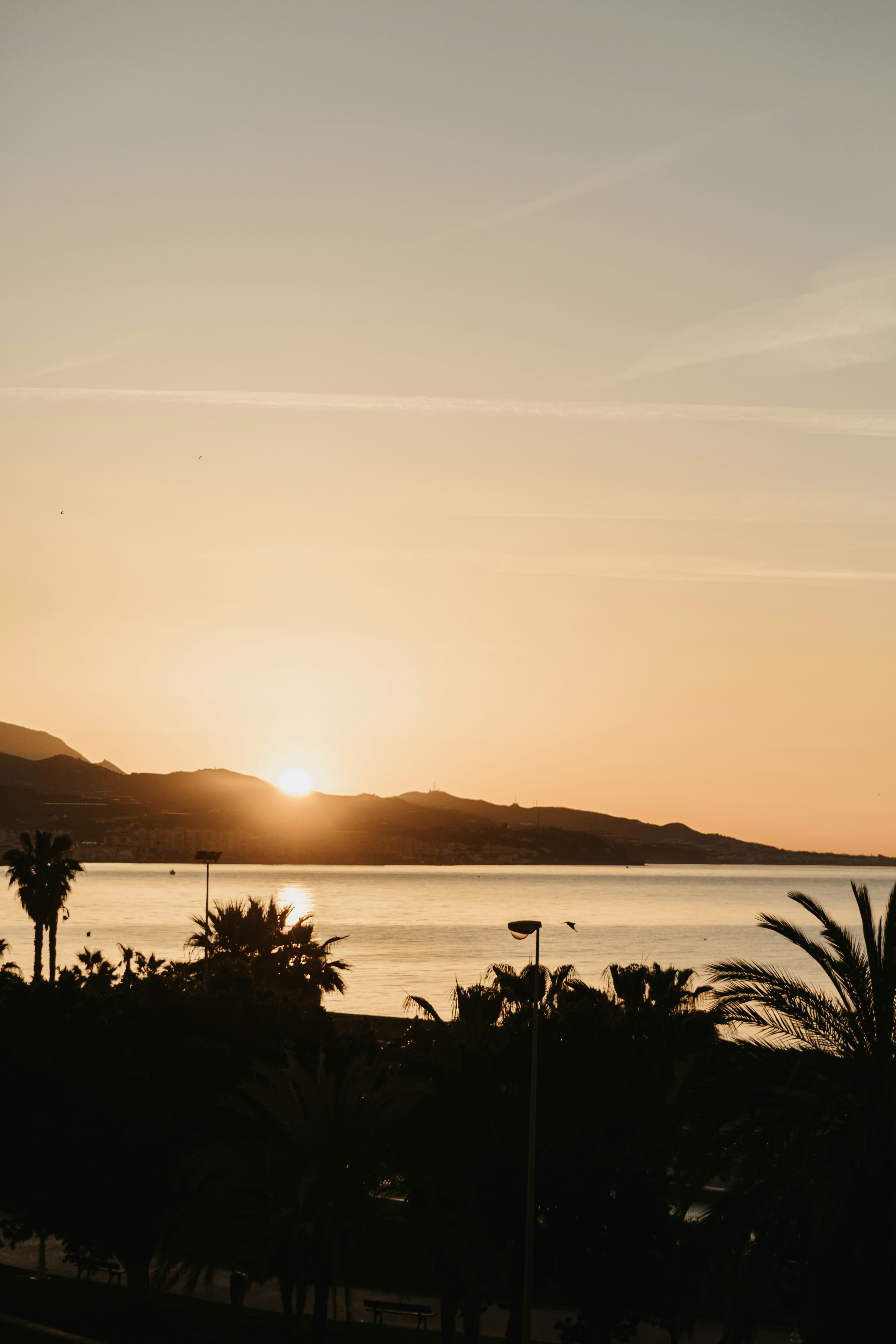 Sunset over the water with palm trees. photo – Free Sunset Image on ...