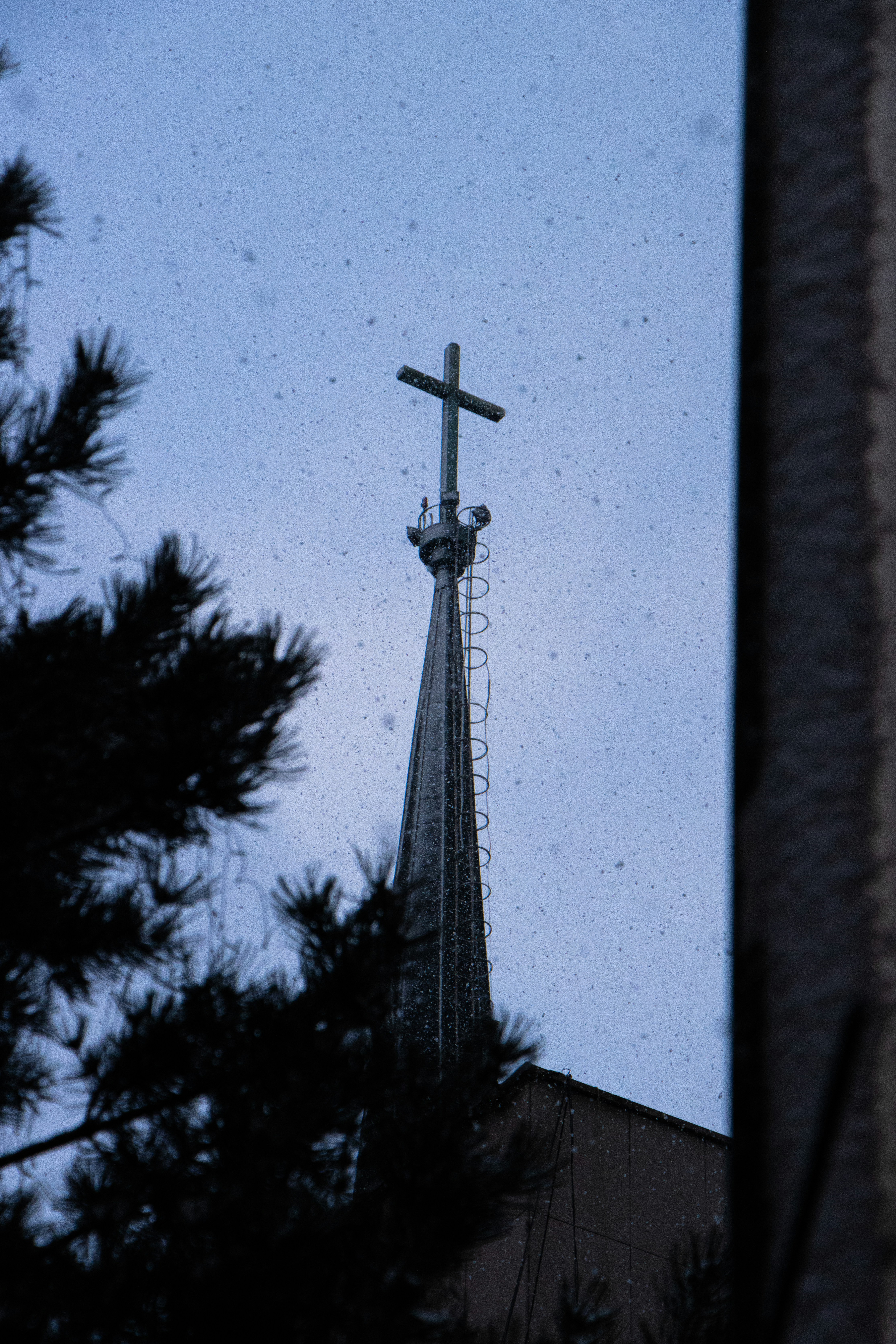 Photo by 정훈 최 with Canon EOS 90D