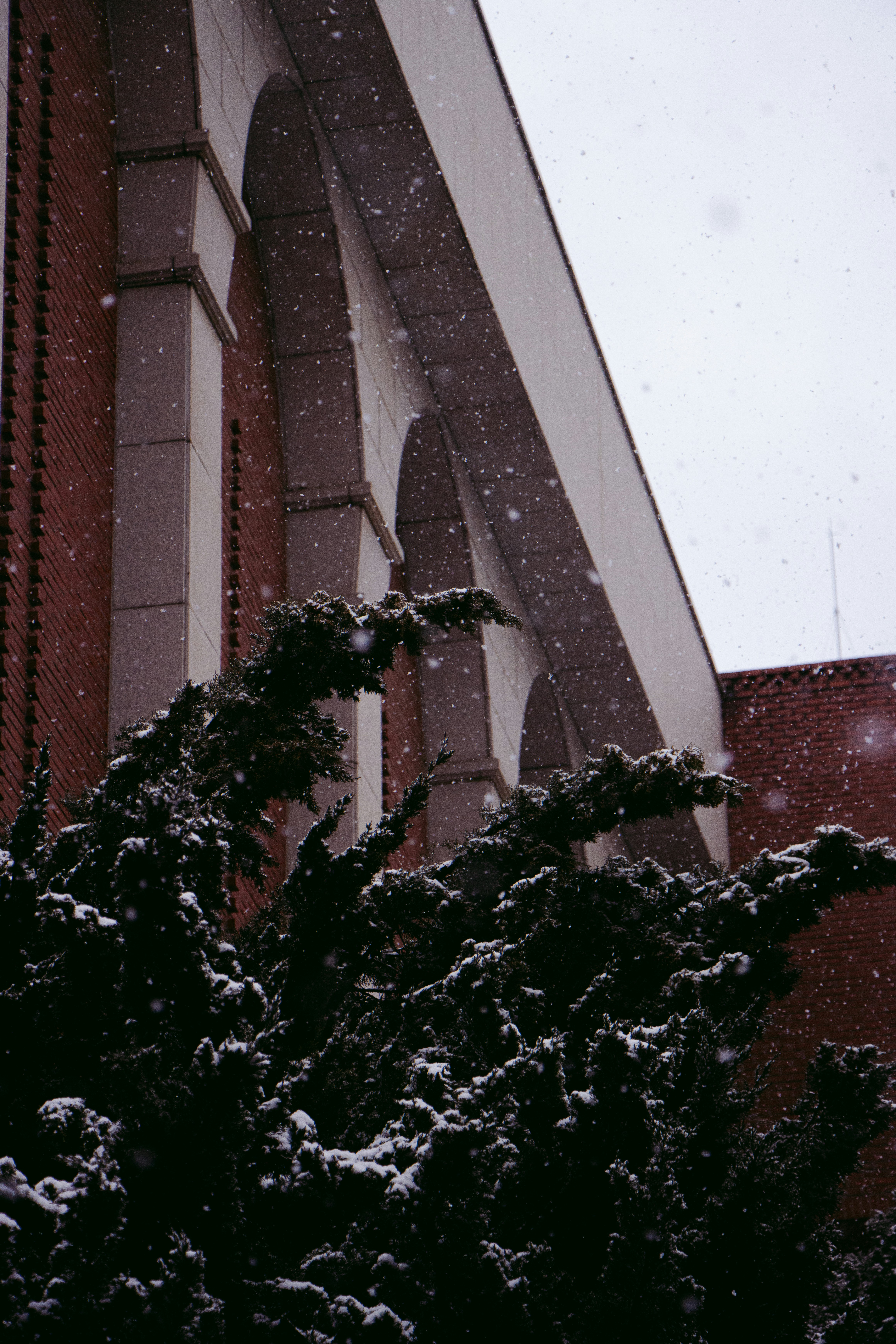 Pouring Snow Pictures | Download Free Images on Unsplash