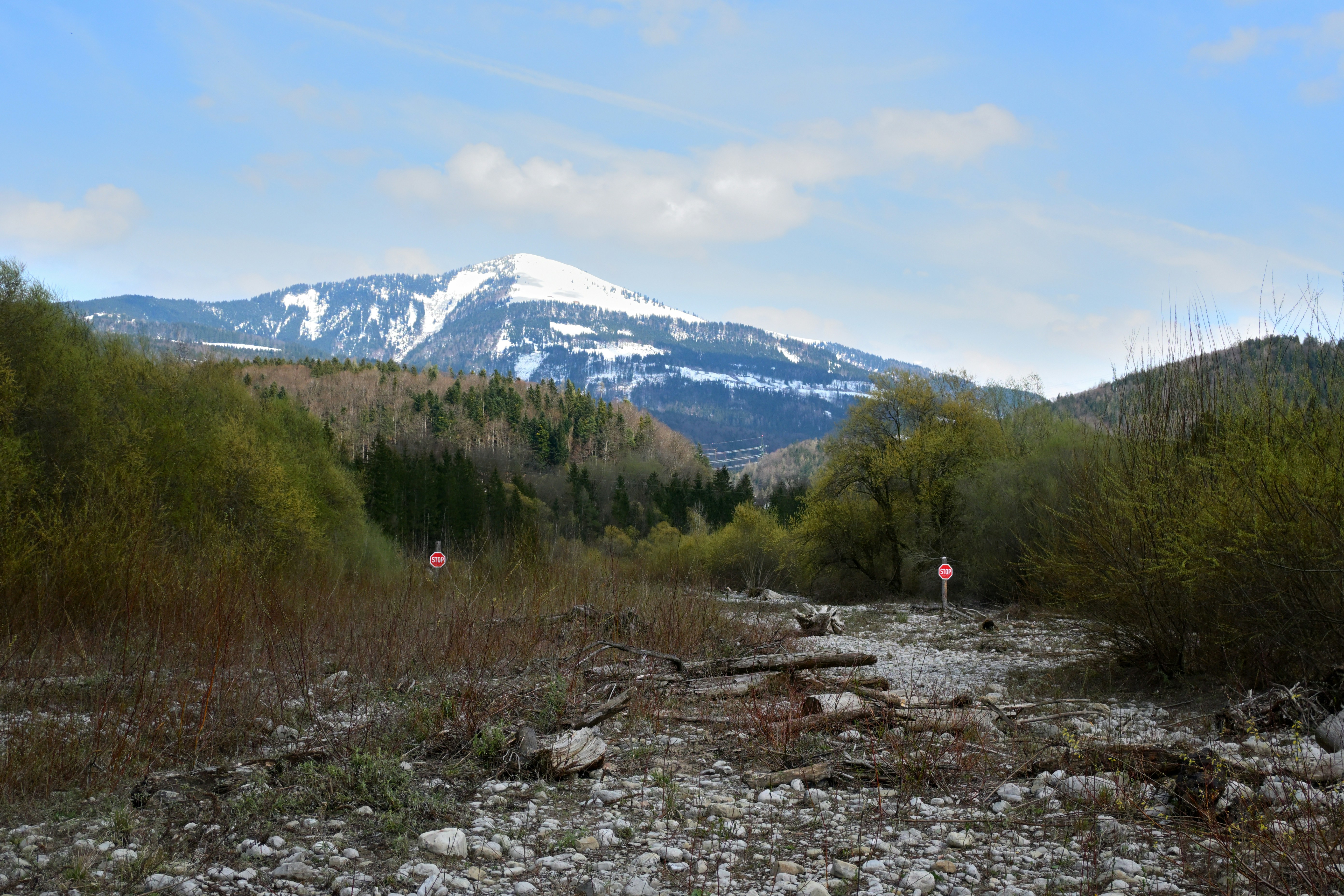 Tranquil Pathway to Snow-Capped Peaks